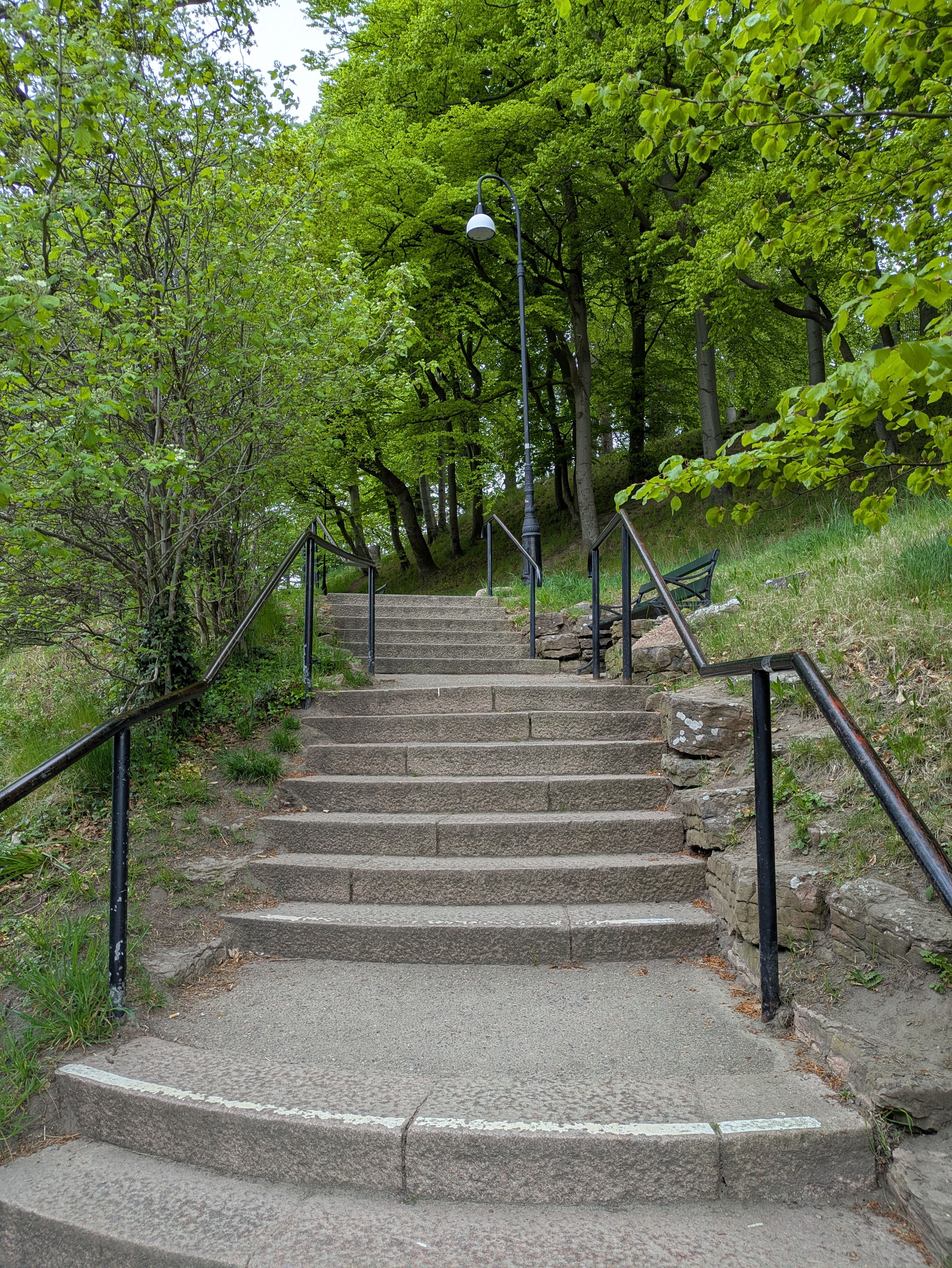 Stone staircase leading into a lush green forest · Free Stock Photo
