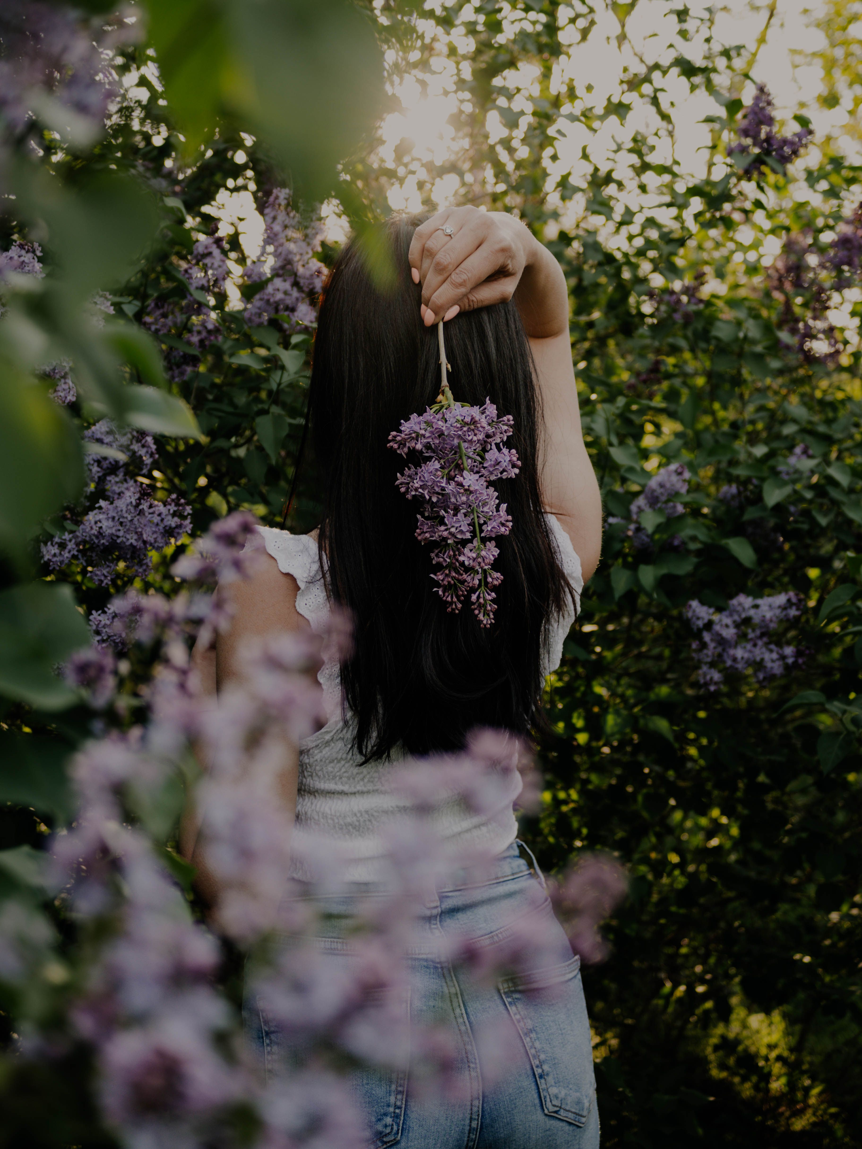Fragile Photos, Download The BEST Free Fragile Stock Photos & HD Images