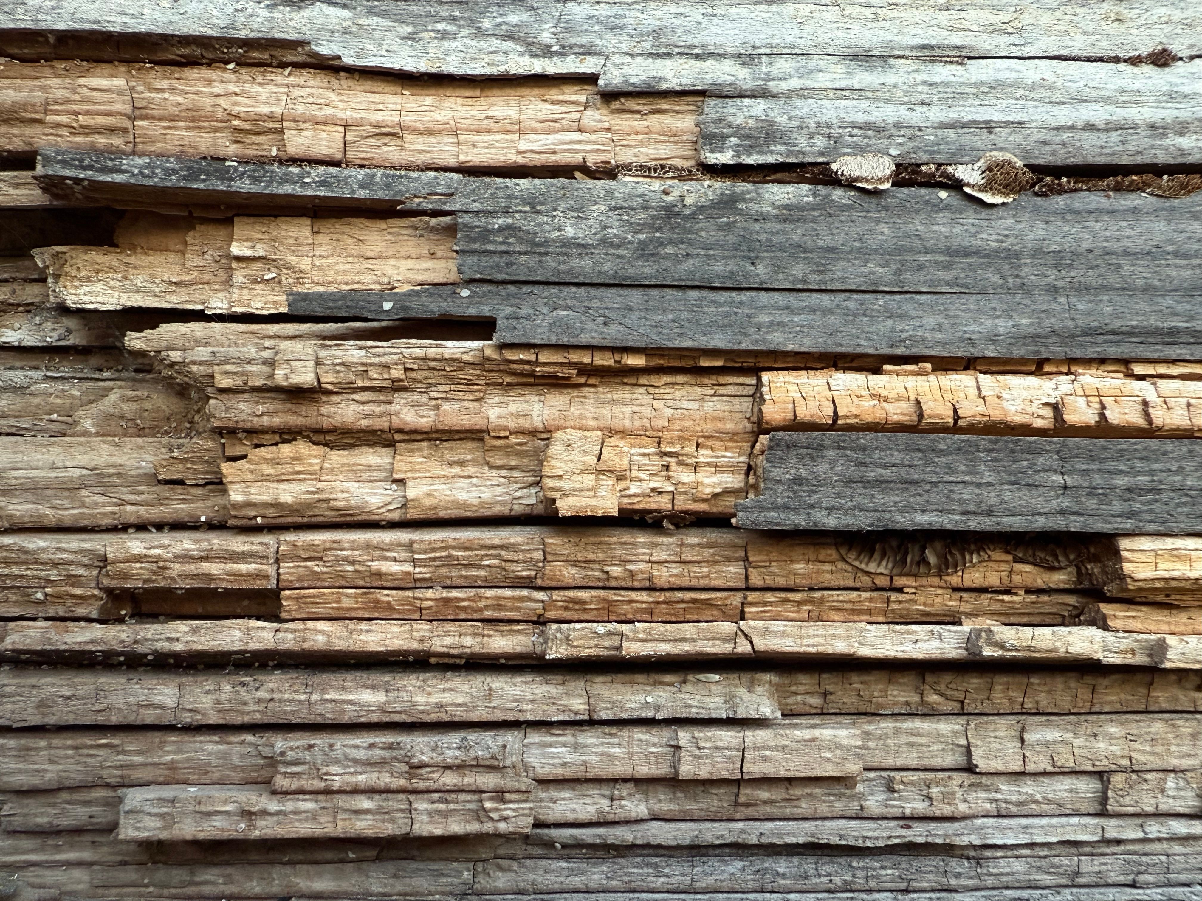 Close-up of weathered wooden wall texture · Free Stock Photo