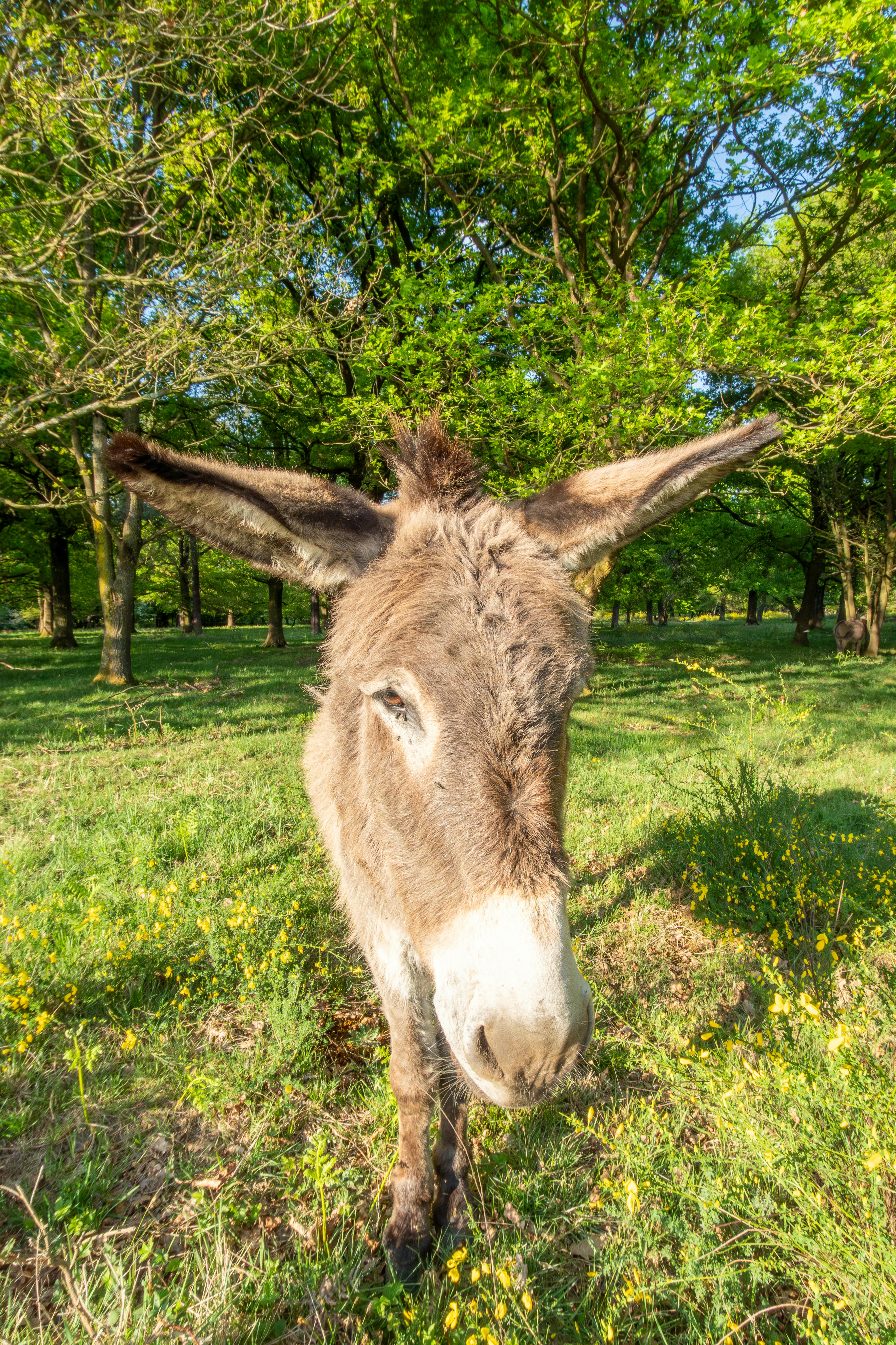 Face Reference Photos, Download The BEST Free Face Reference Stock ...