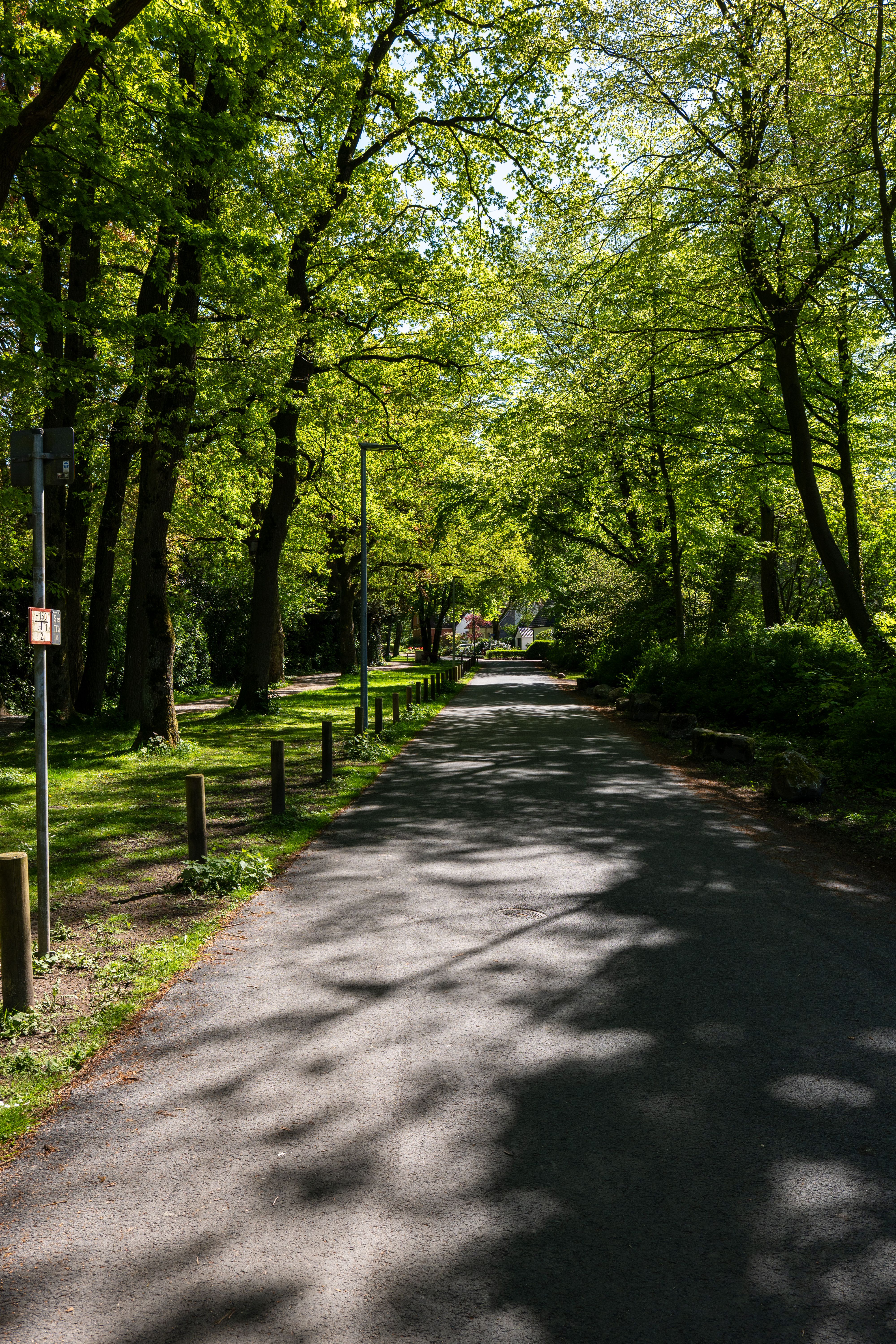 Jogging Along A Path Photos, Download The BEST Free Jogging Along A ...