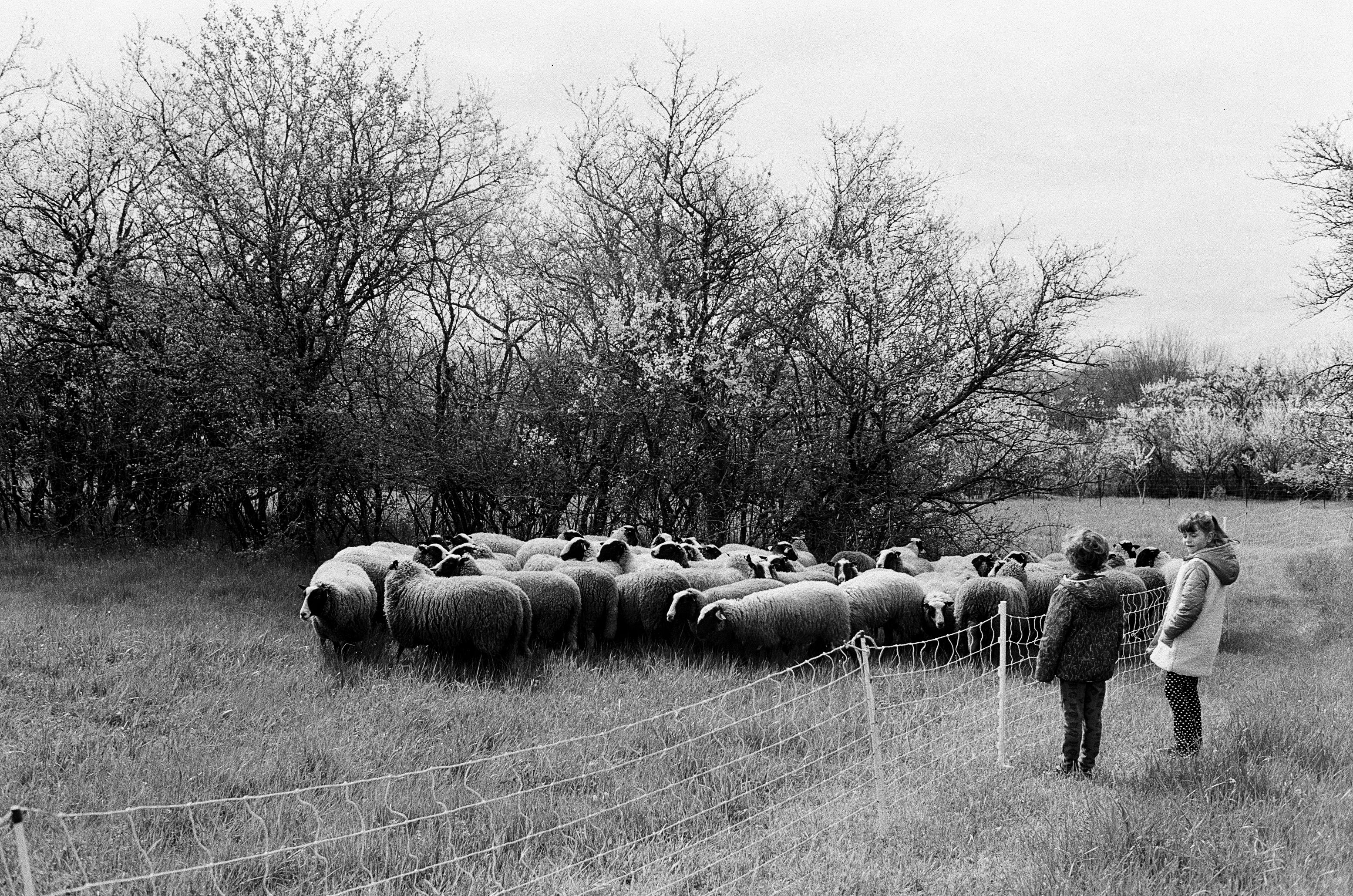 Young Budding Girls Photos, Download The BEST Free Young Budding Girls ...