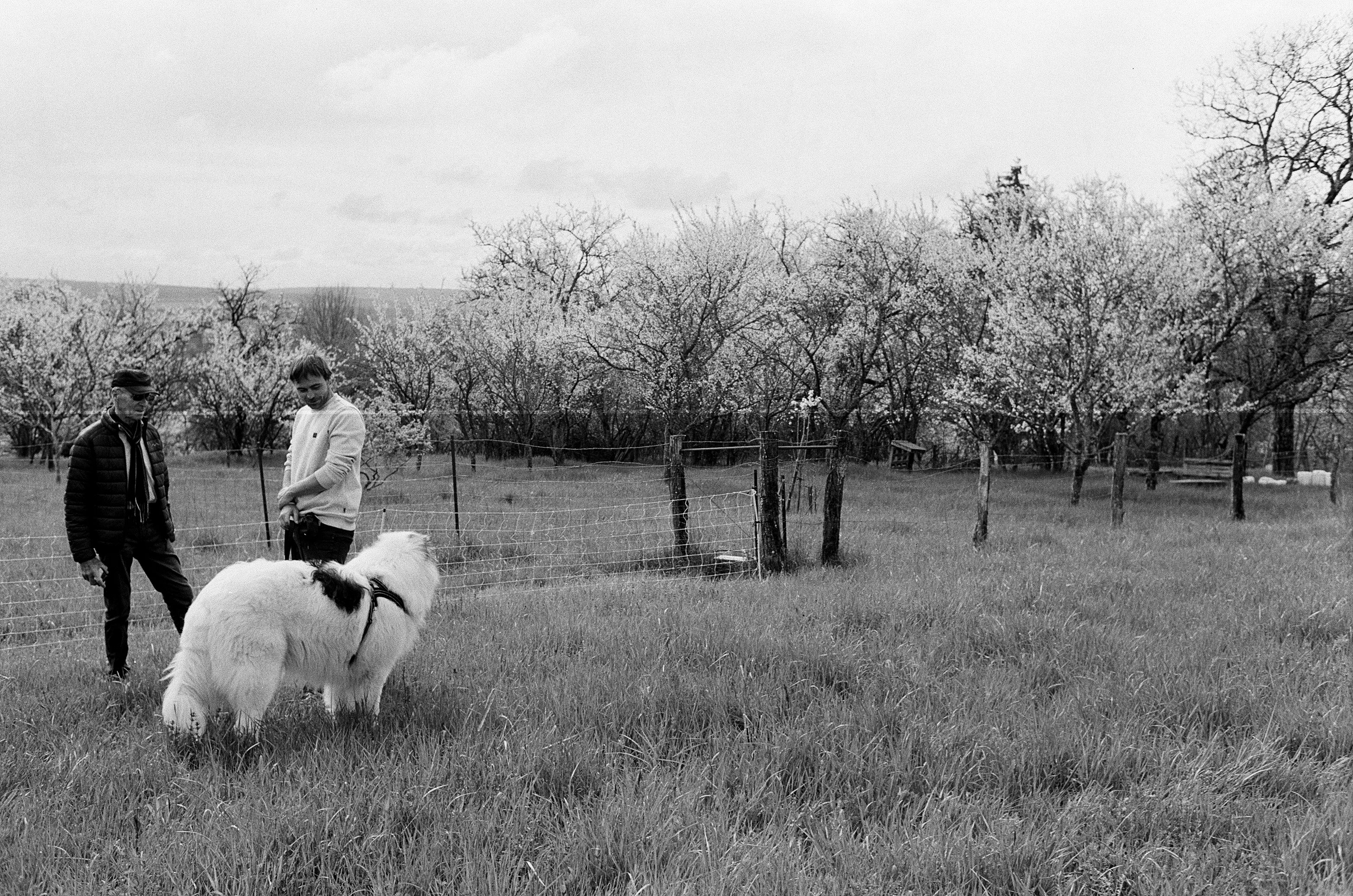 Black and White Scene in French Countryside · Free Stock Photo