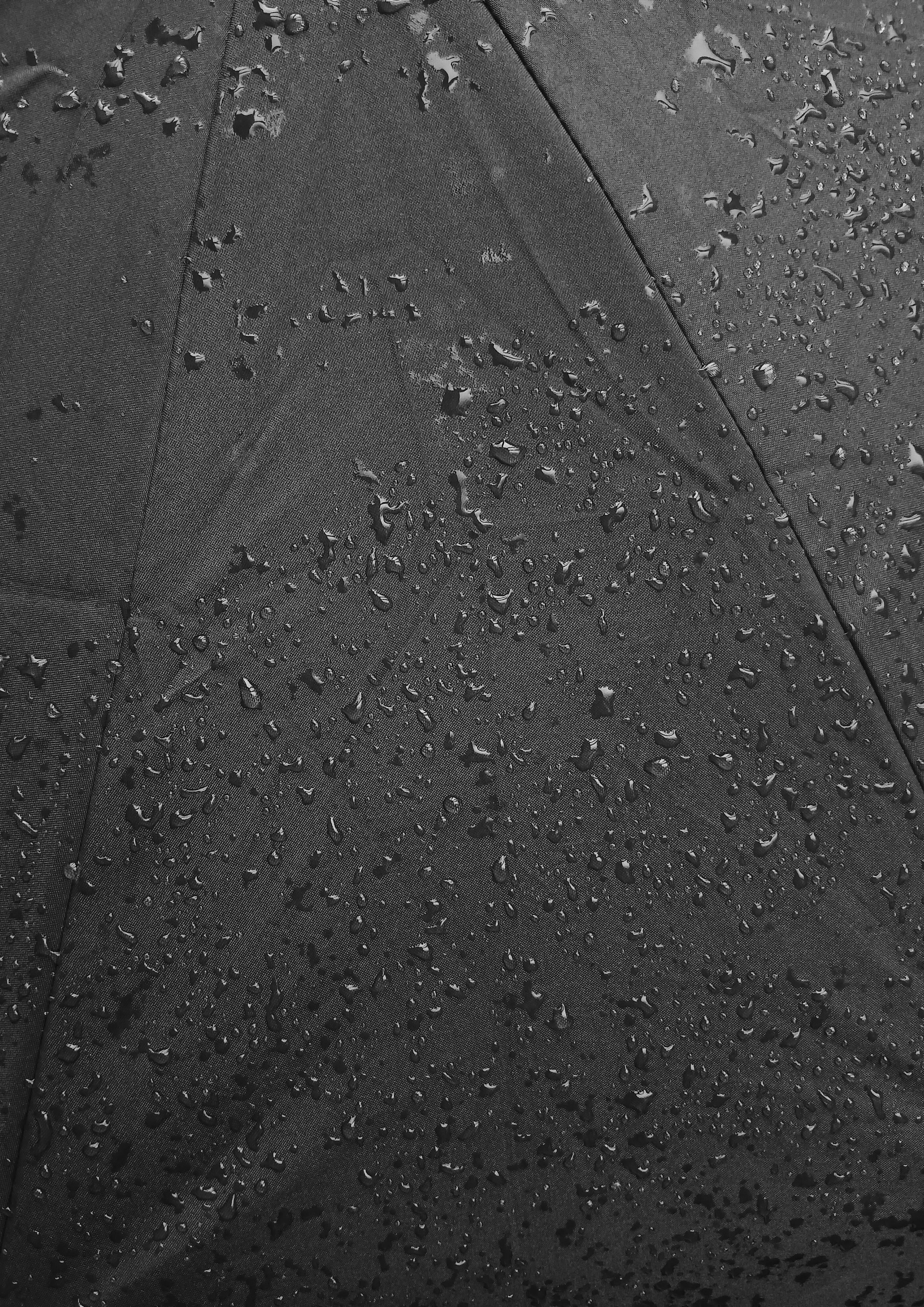 Acid Rain Photos, Download The BEST Free Acid Rain Stock Photos & HD Images