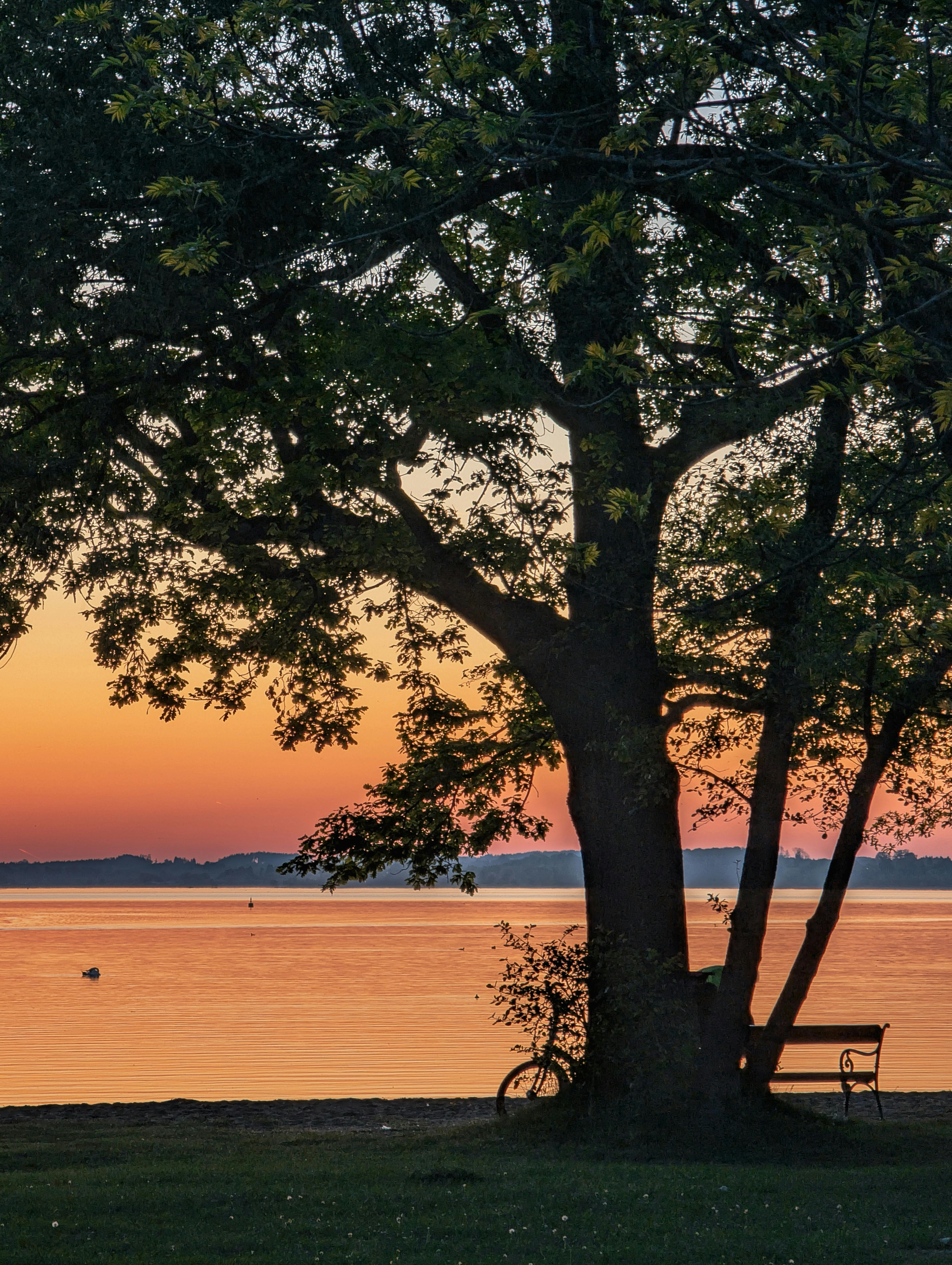 Jpg4+Pictures Photos, Download The BEST Free Jpg4+Pictures Stock Photos & HD Images