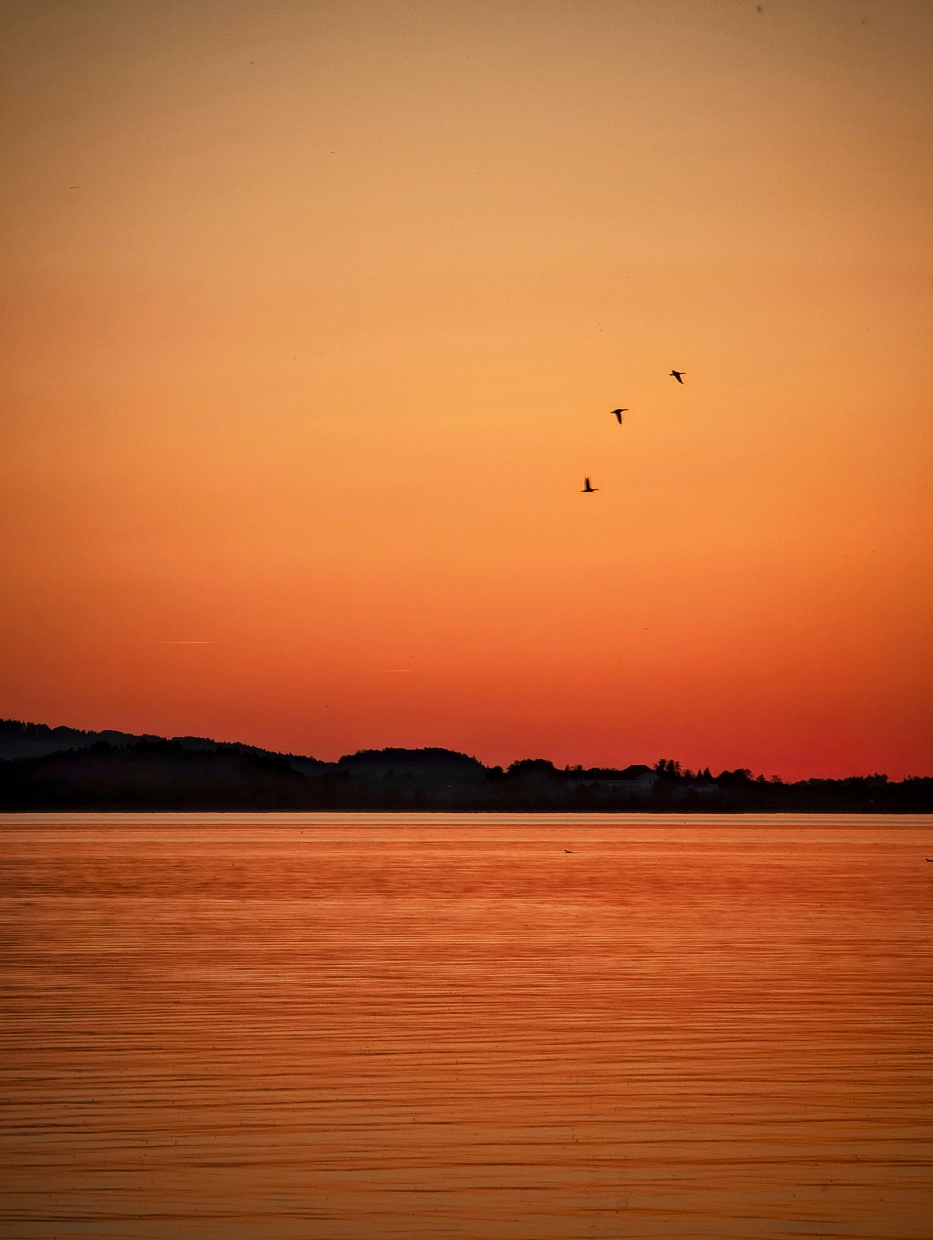 Jhkjhk+Pictures Photos, Download The BEST Free Jhkjhk+Pictures Stock ...