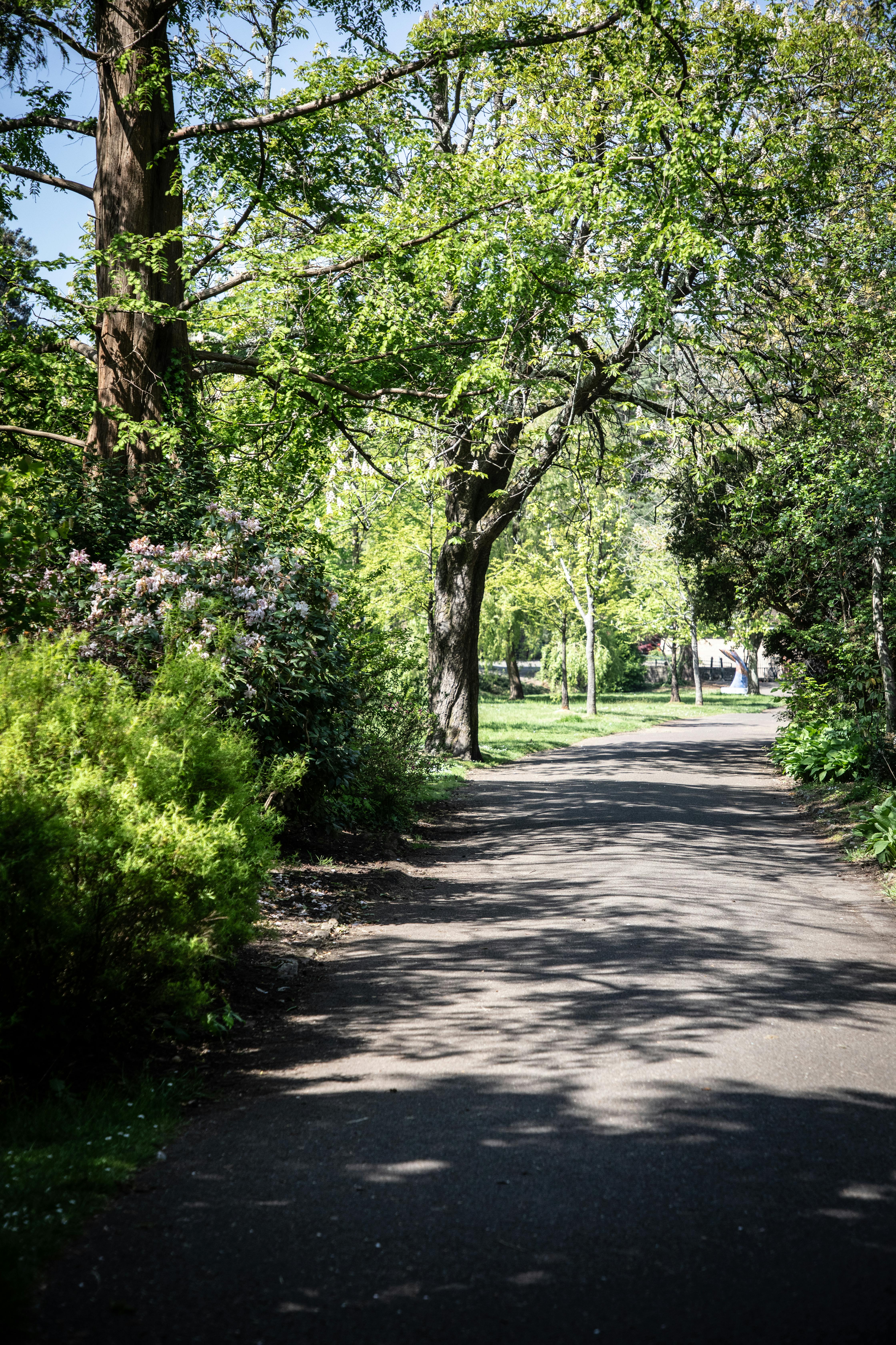 Serene Spring Pathway in Bournemouth Park · Free Stock Photo