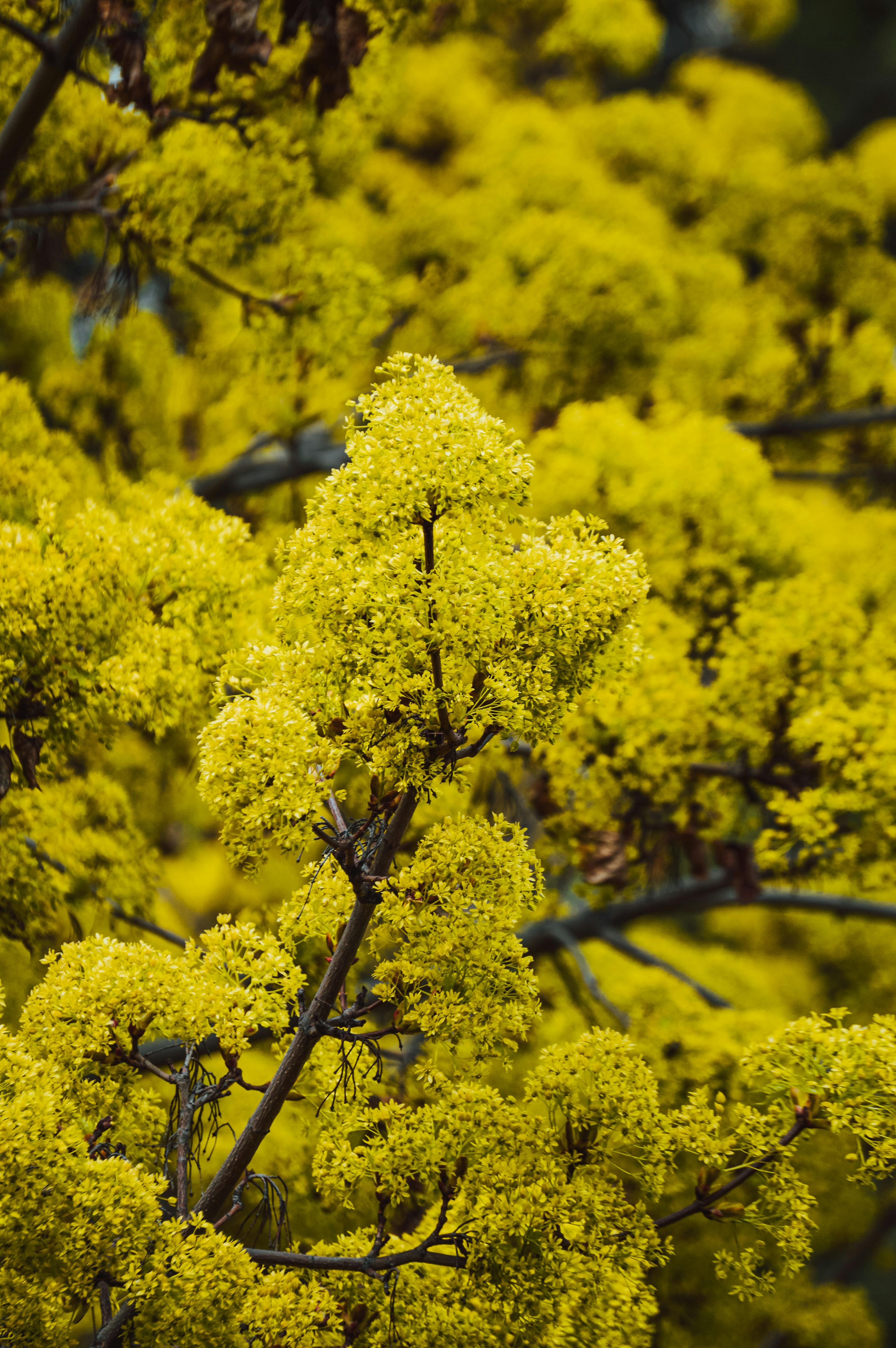 Navbar Background Photos, Download The BEST Free Navbar Background ...