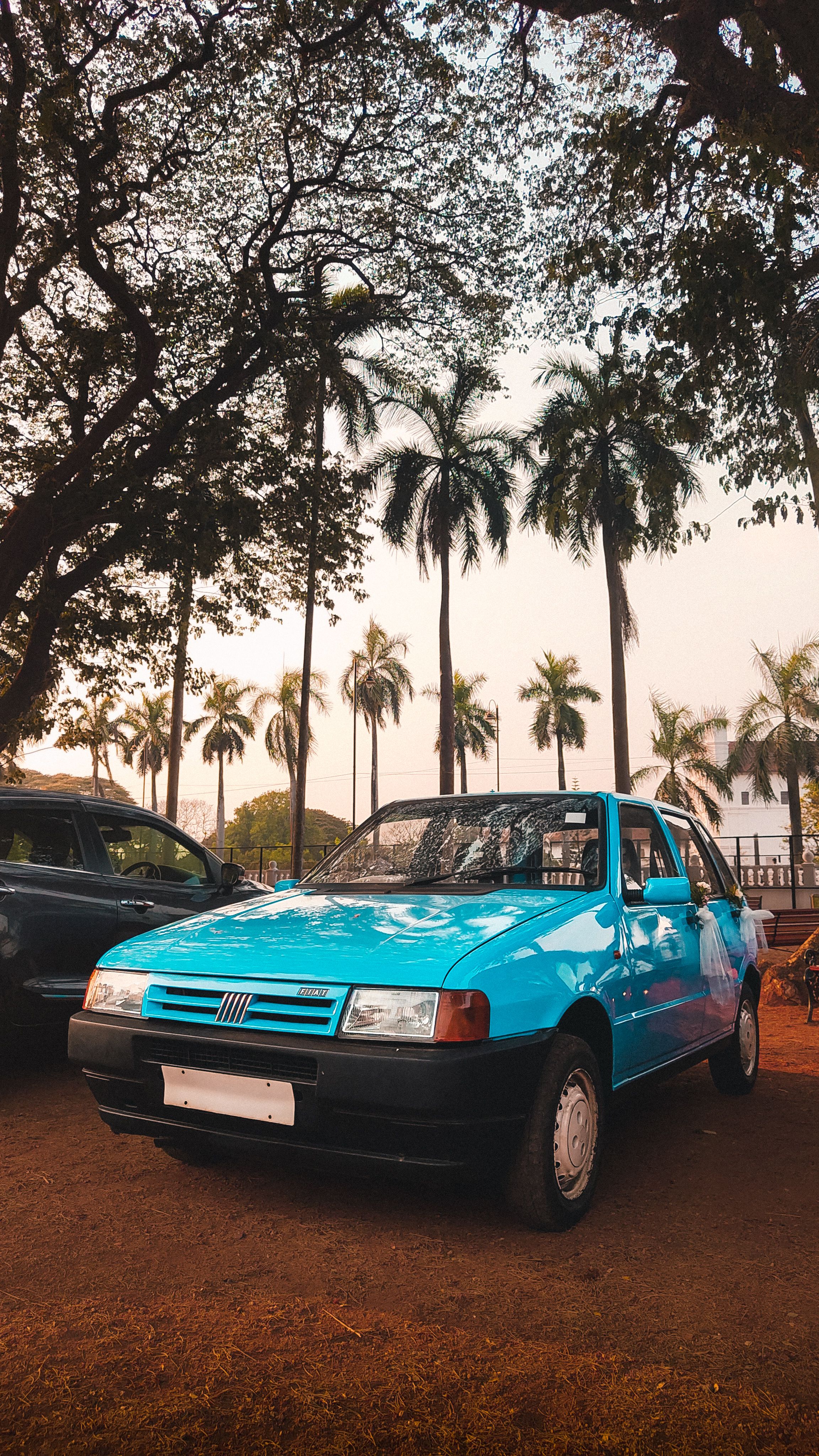 Vintage Blue Car Parked Under Palm Trees · Free Stock Photo
