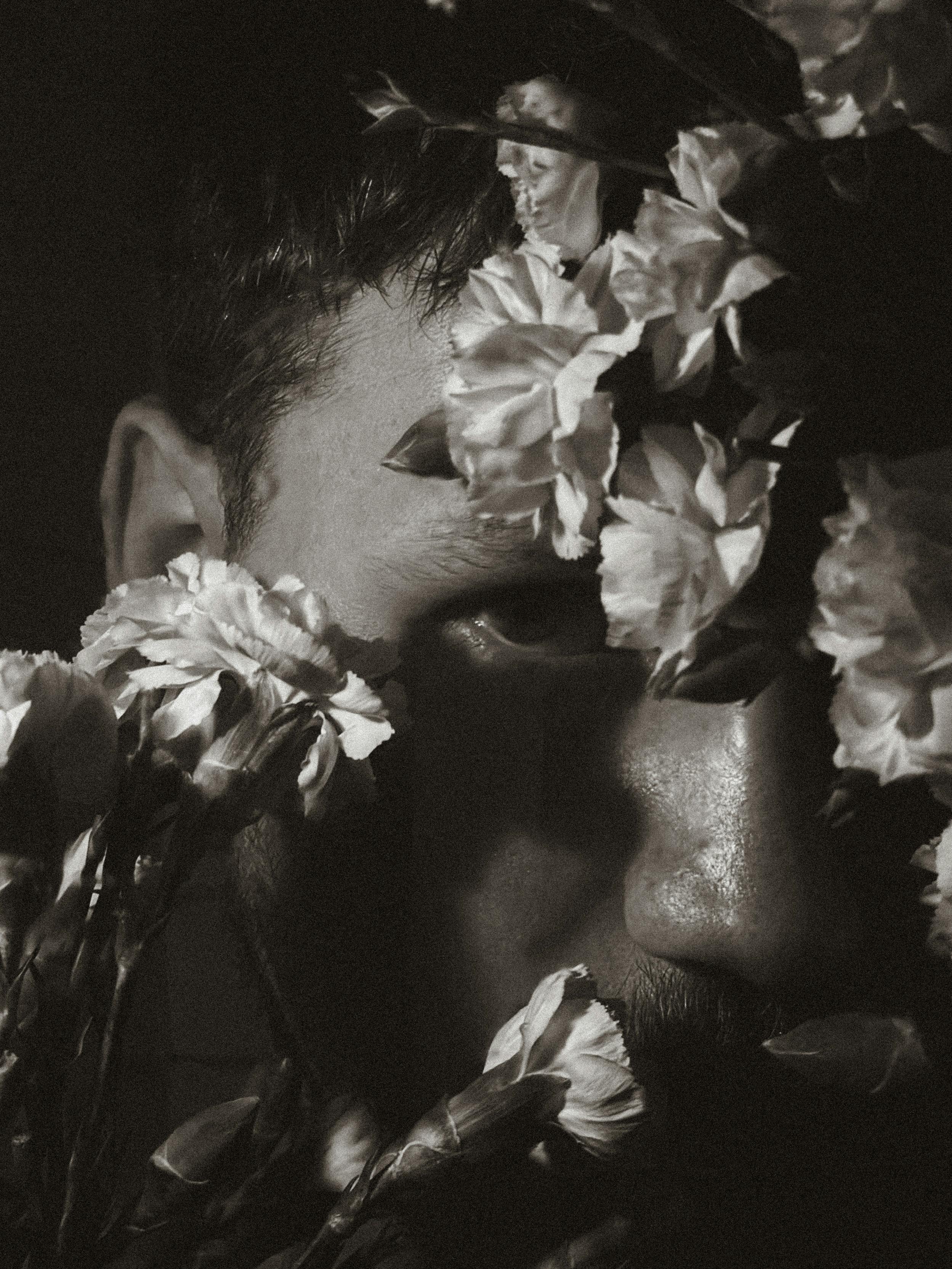 Moody Portrait with Carnations in Soft Light · Free Stock Photo