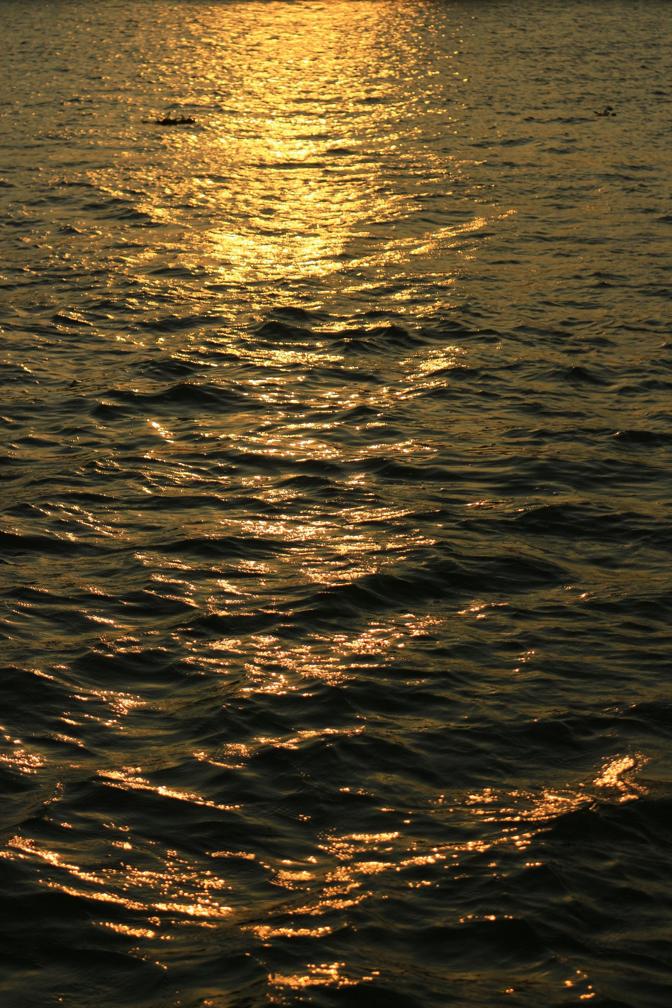Golden Sunset Reflection on Water Surface · Free Stock Photo