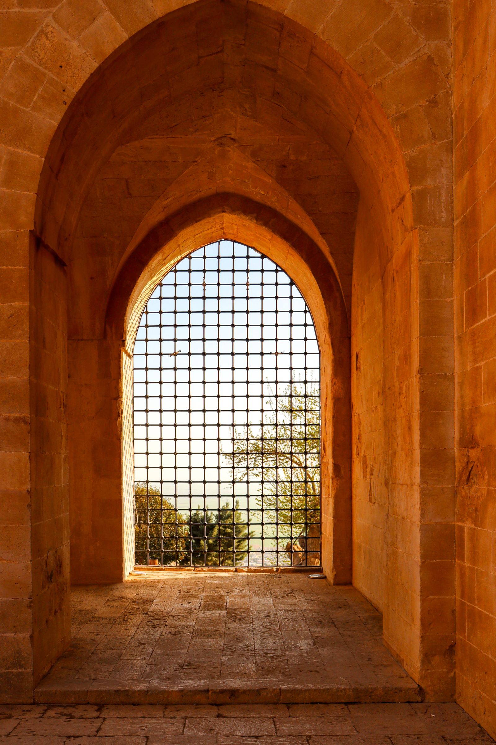 Arched Window Photos, Download The BEST Free Arched Window Stock Photos ...