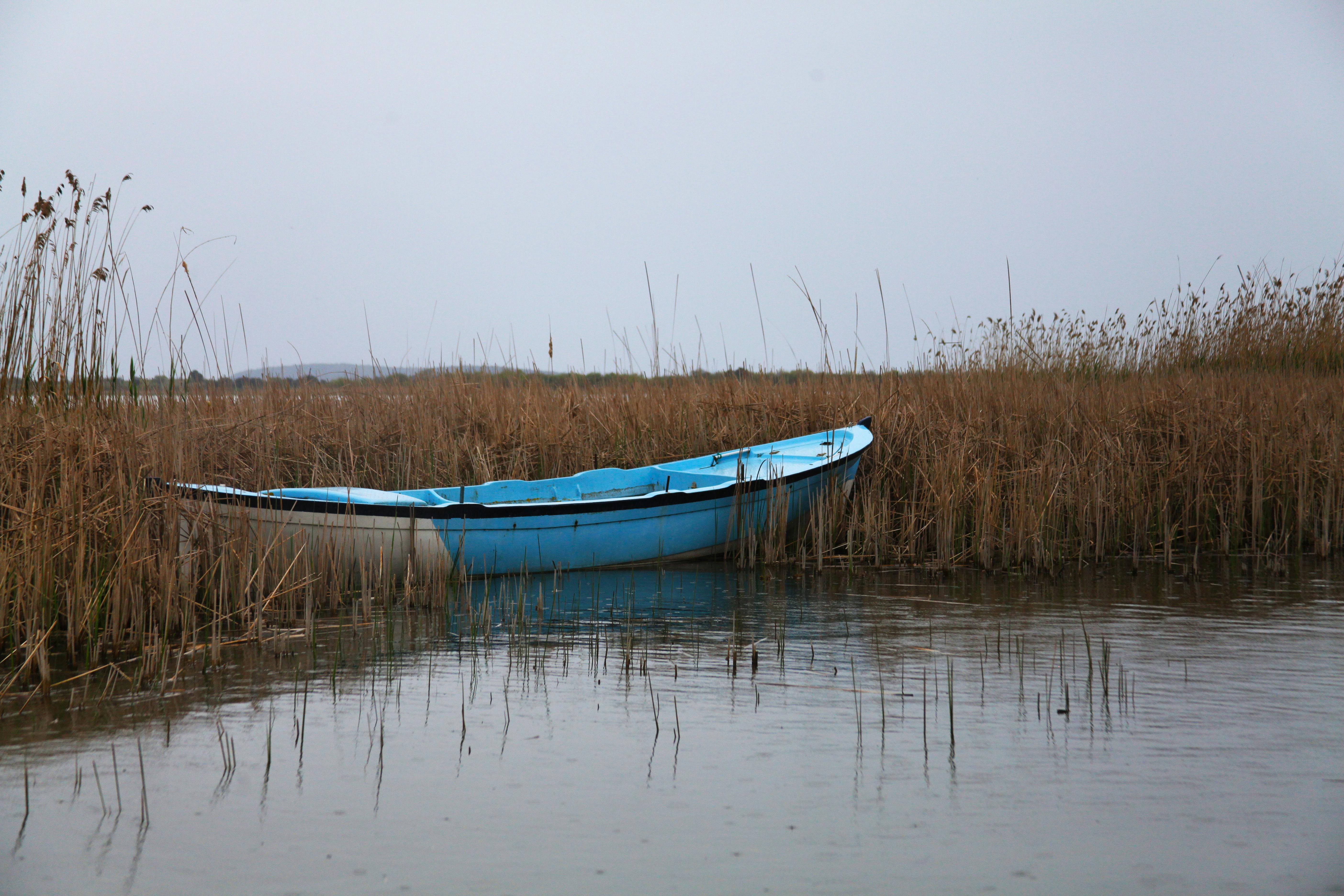Bumblebee Boat Photos, Download The BEST Free Bumblebee Boat Stock ...