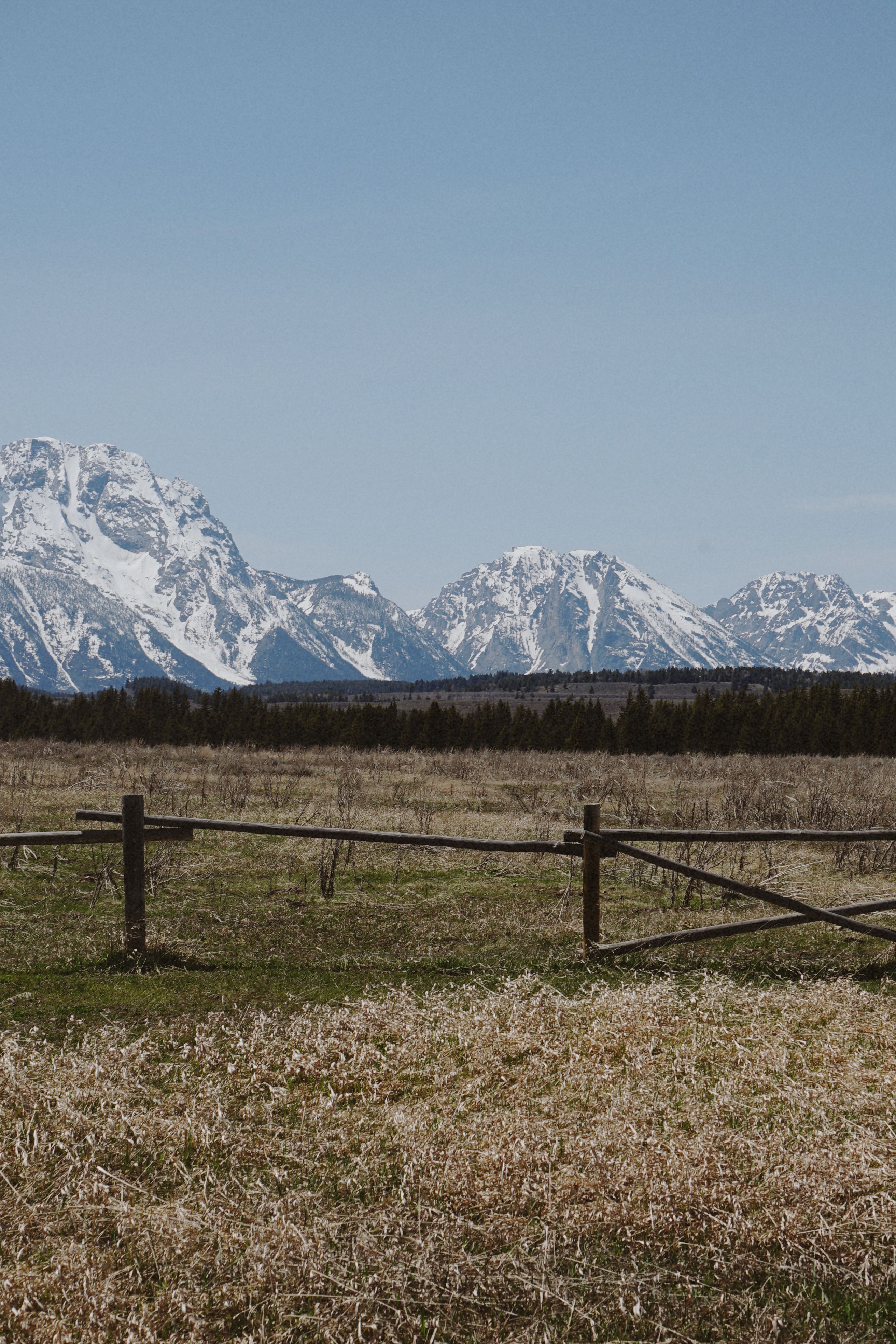 Scenic View of Snow-Capped Mountains and Field · Free Stock Photo