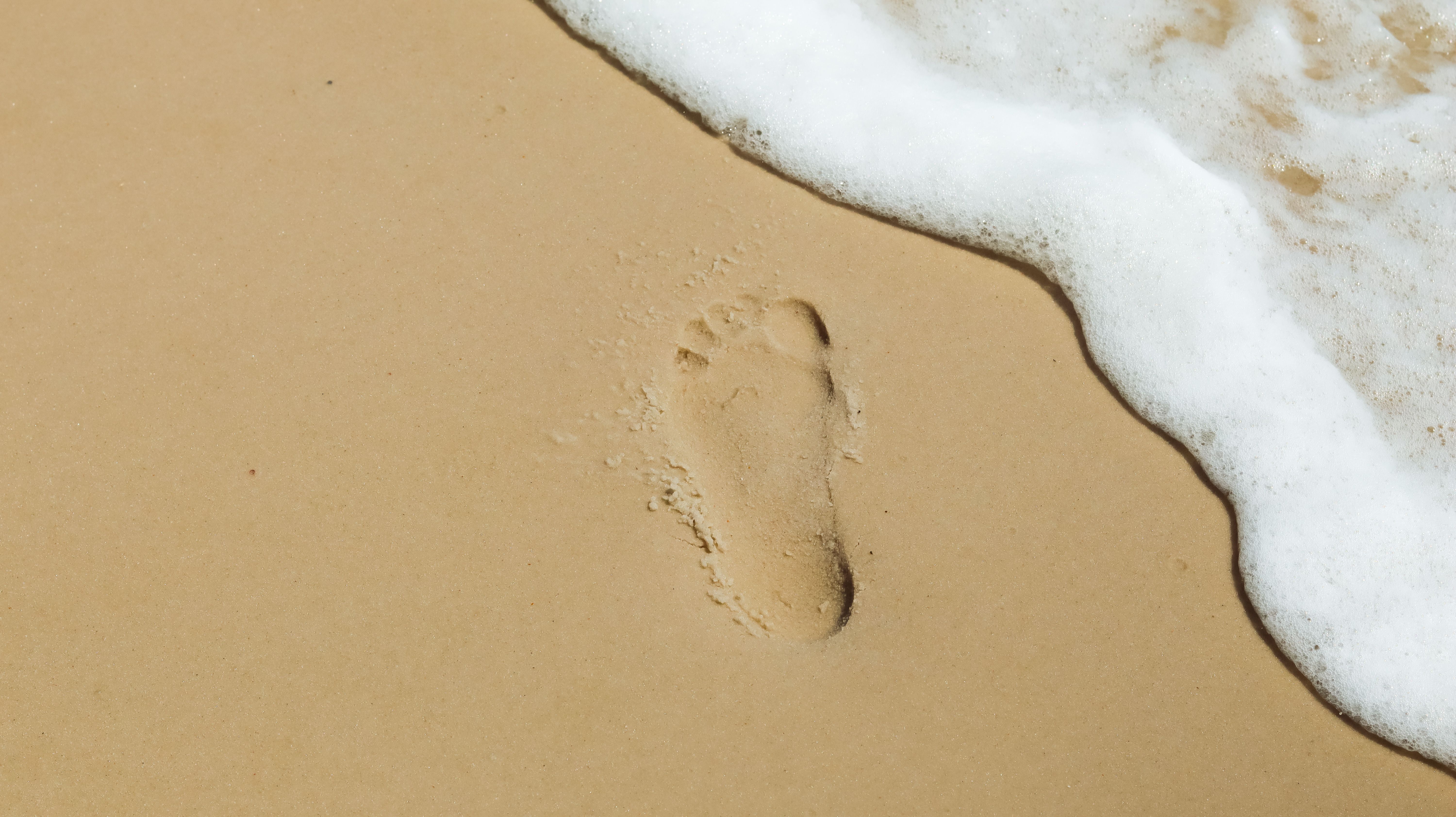Single Footprint Photos, Download The BEST Free Single Footprint Stock ...