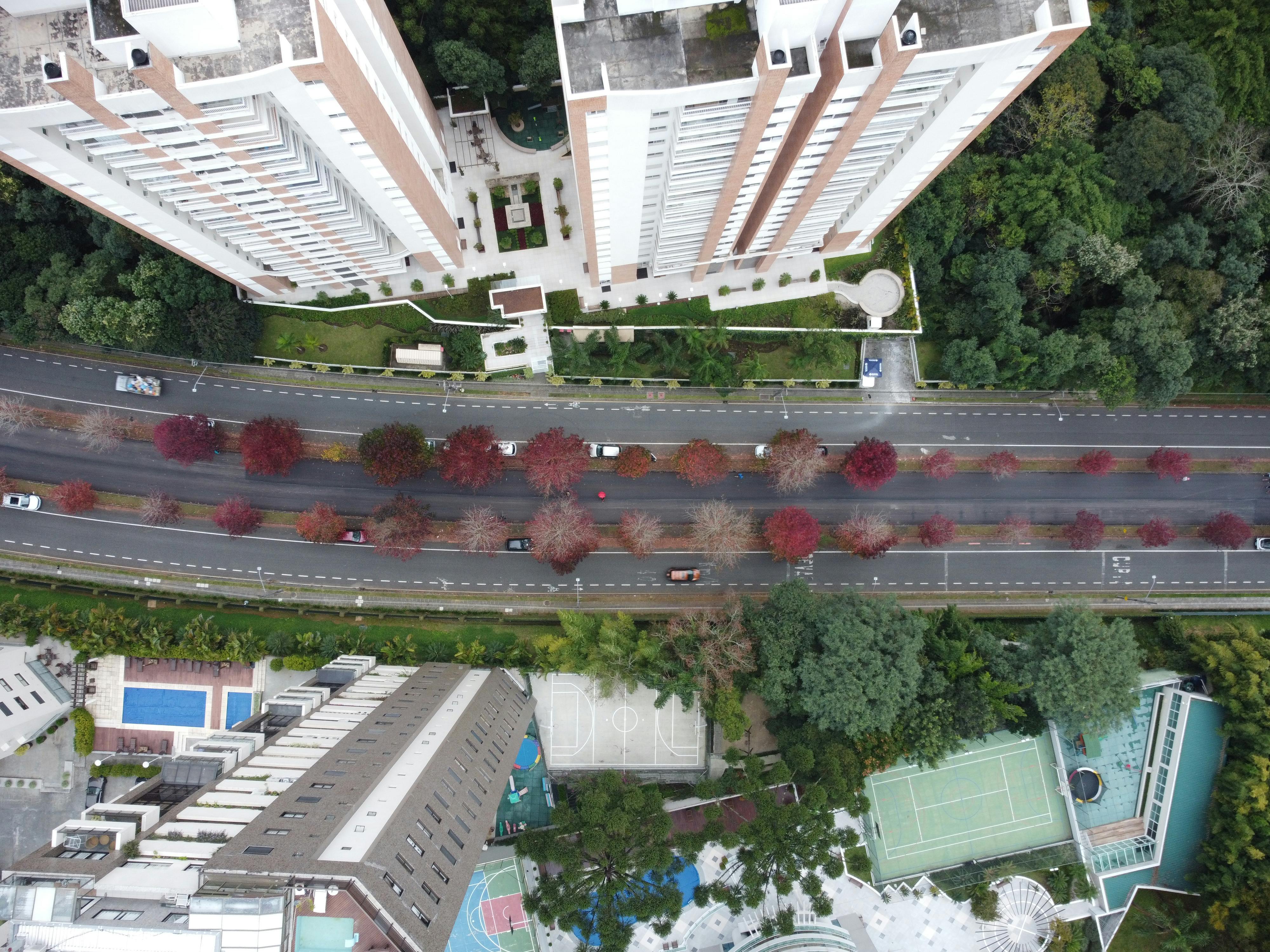 Aerial View of Urban Street with High-rise Buildings · Free Stock Photo