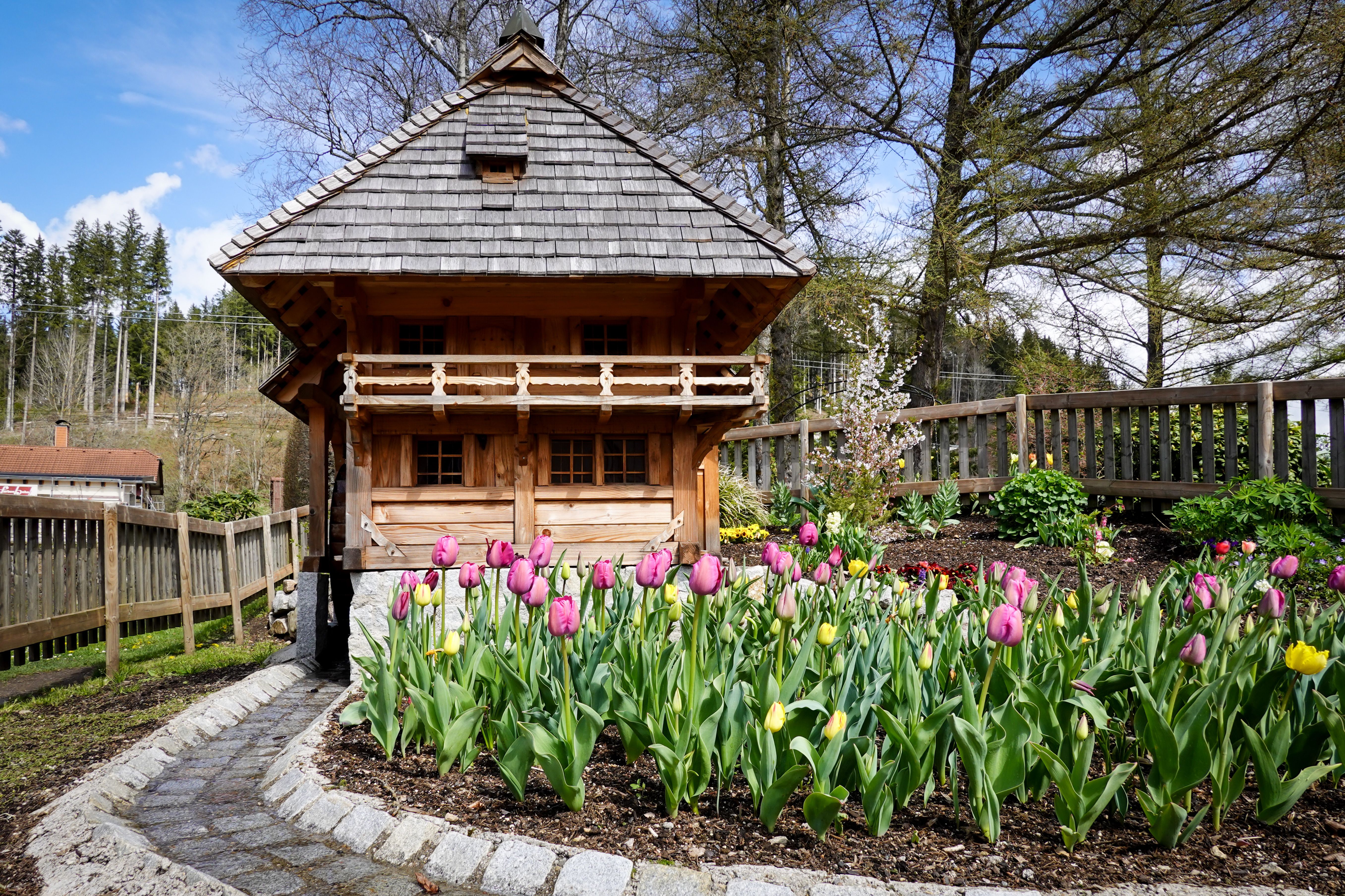 Charming Wooden Cabin in Blooming Spring Garden · Free Stock Photo