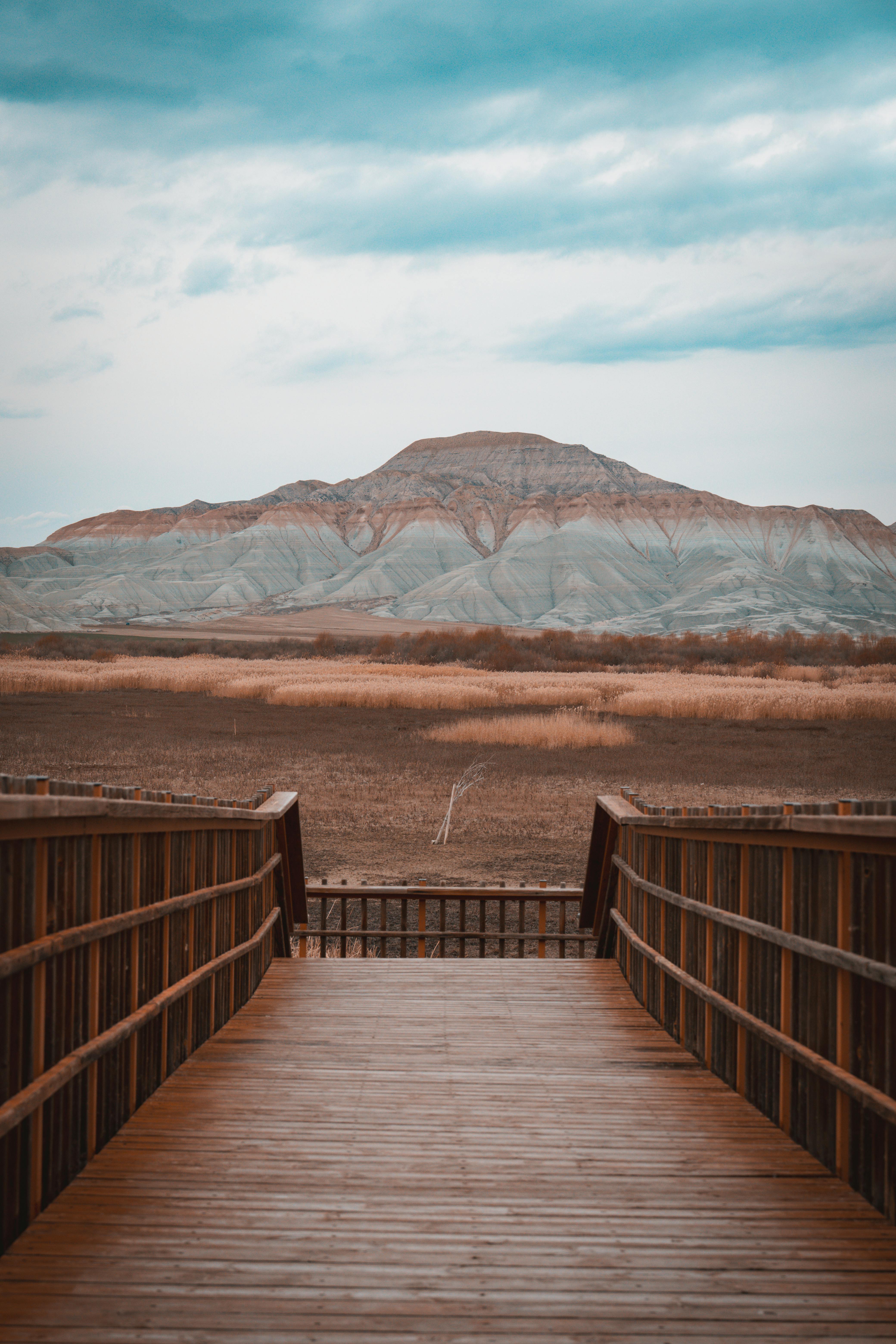 Stotte Dry Photos, Download The BEST Free Stotte Dry Stock Photos & HD ...