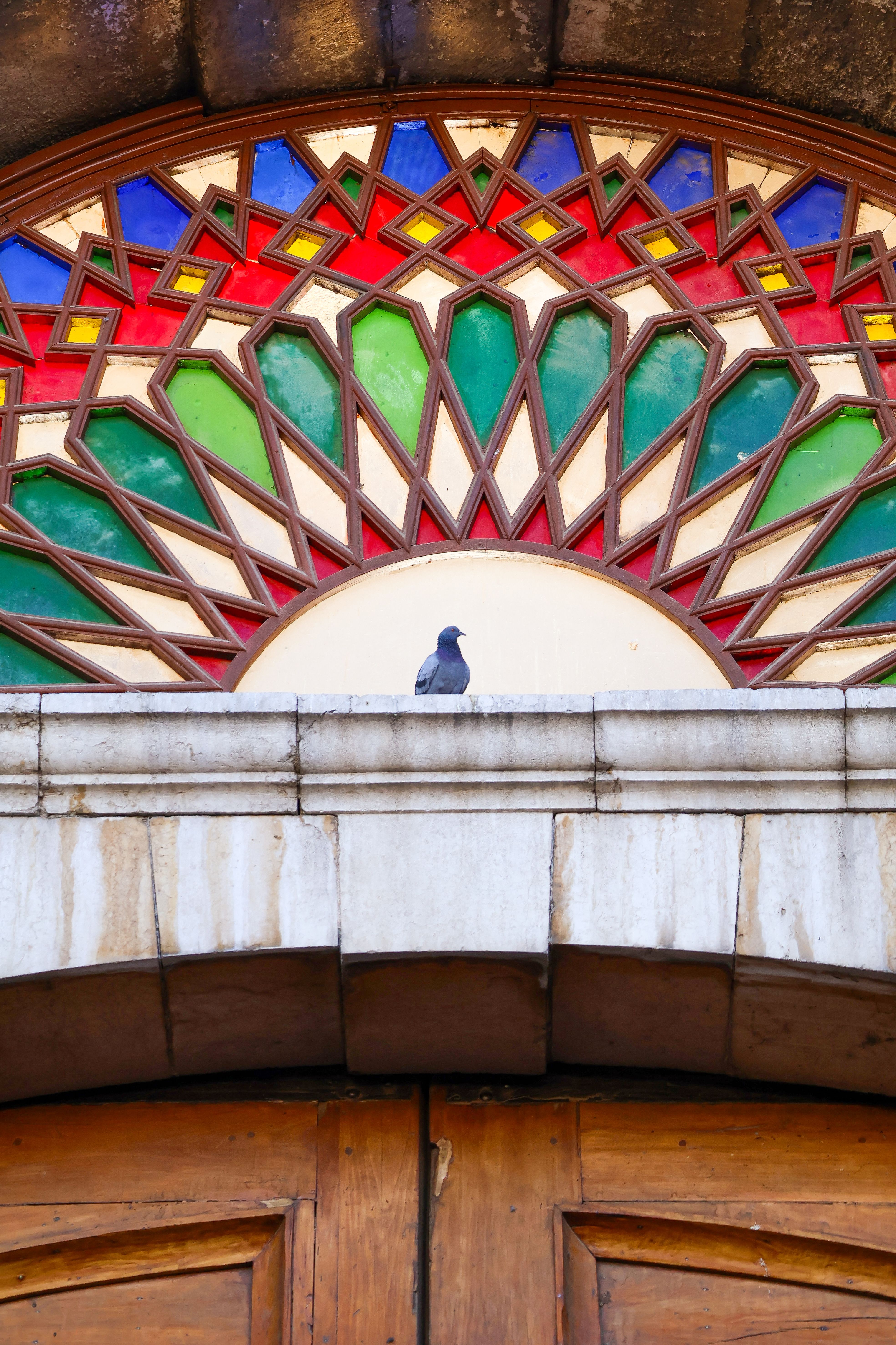 Pigeon on Ornate Stained Glass Building Arch · Free Stock Photo