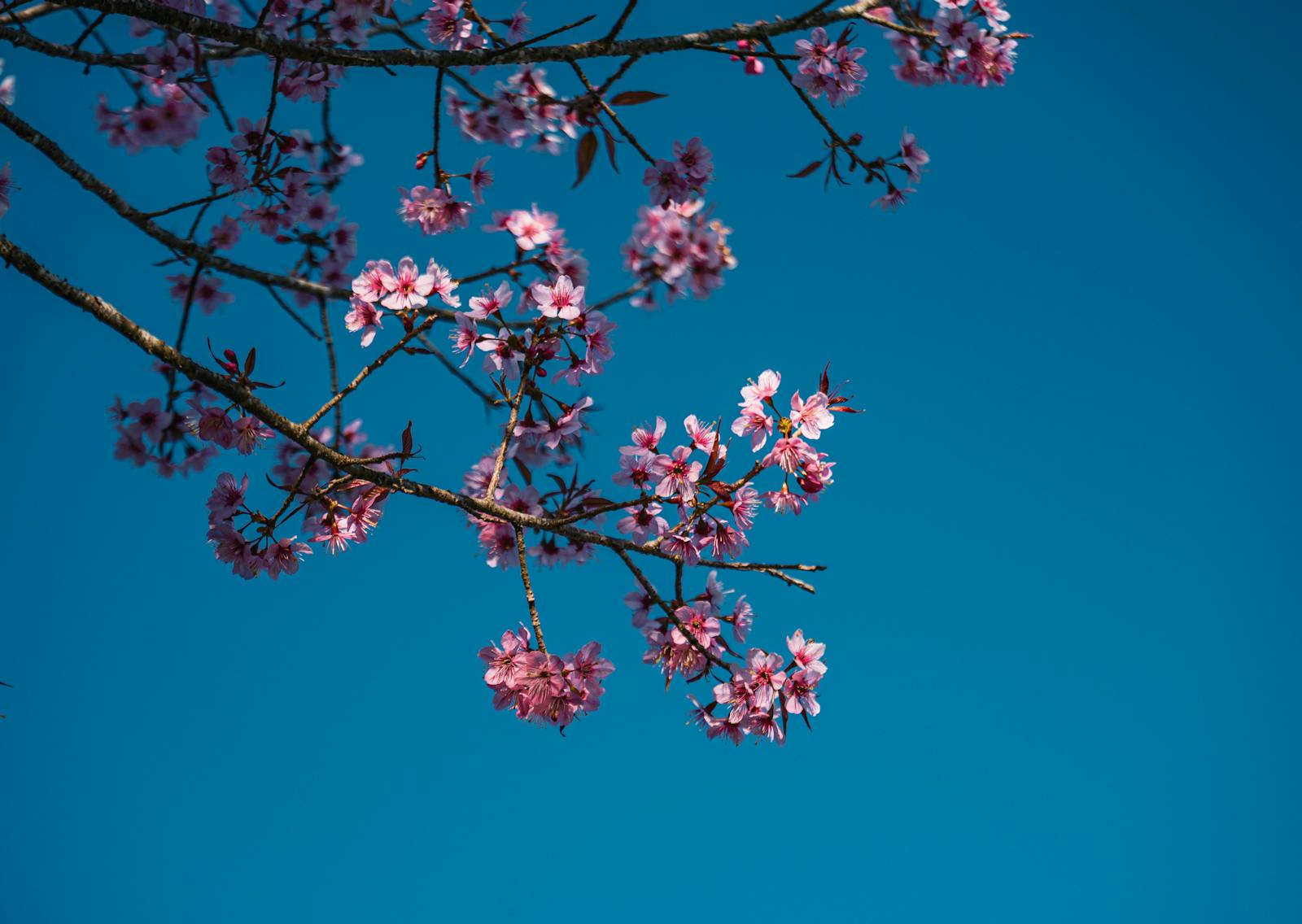 Free Calm Backgrounds Photos, Download The BEST Free Free Calm ...