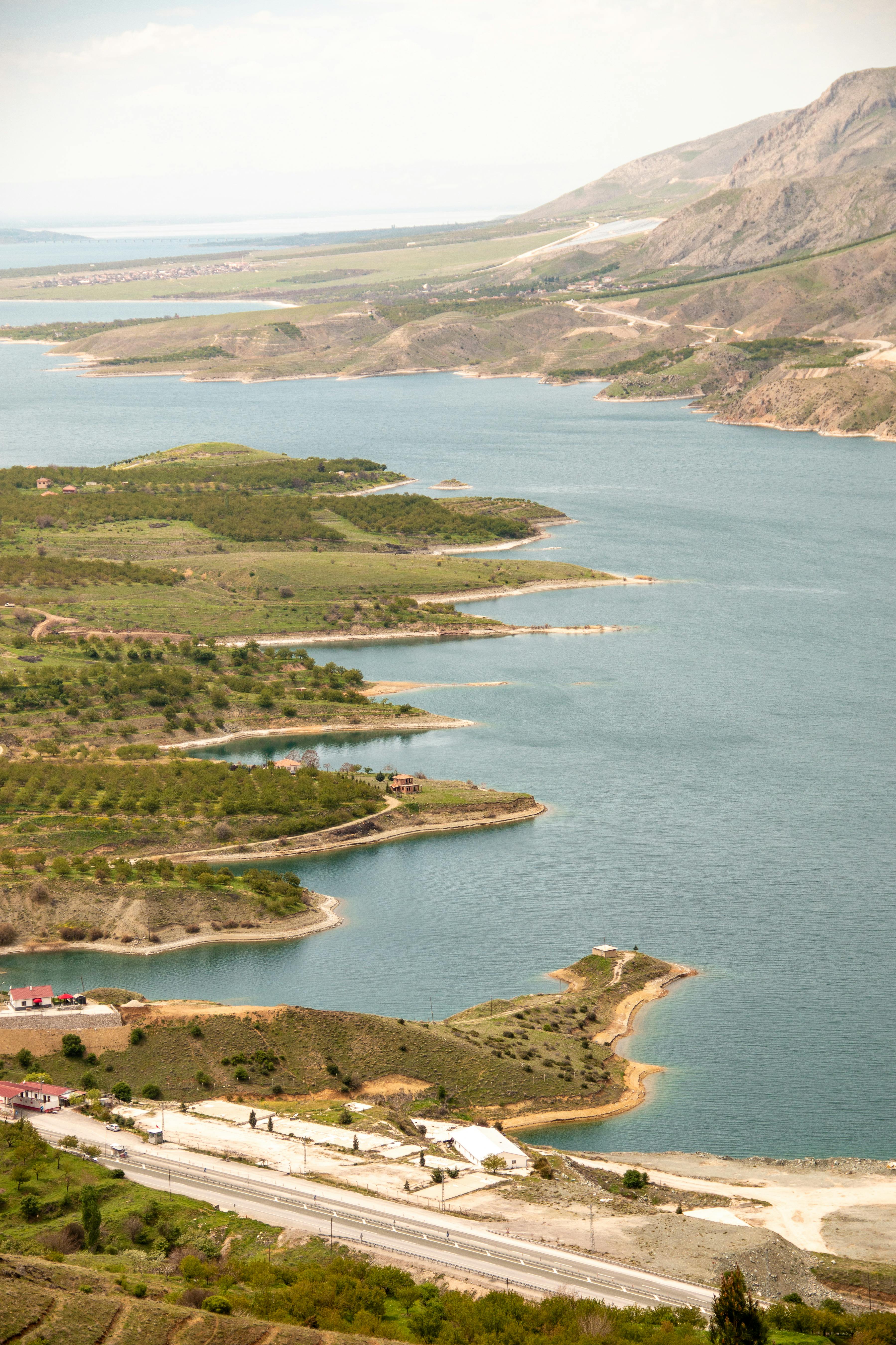 Cat+Eating+Chips+Wallpaper Photos, Download The BEST Free Cat+Eating ...