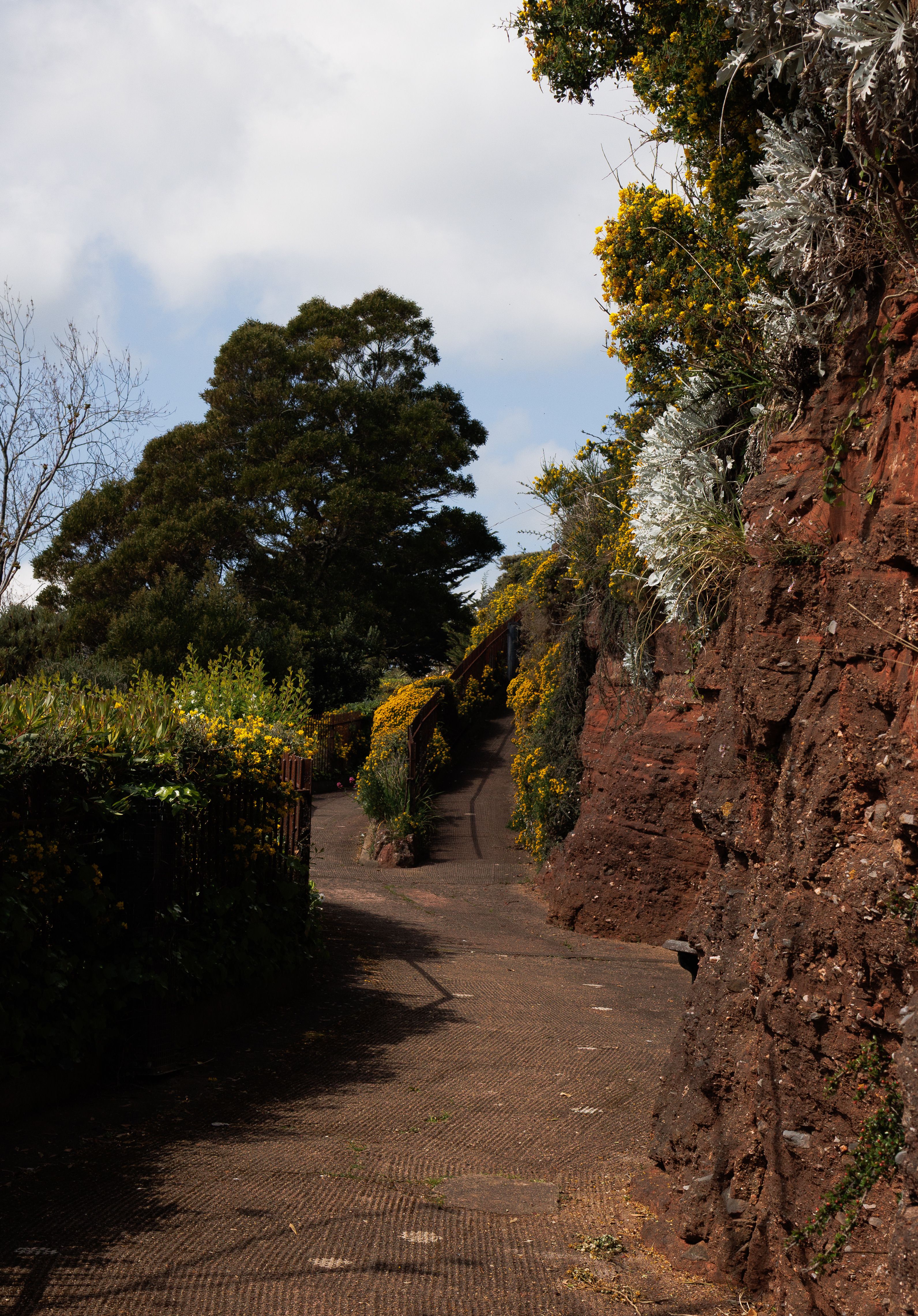 Scenic Pathway Through Rocky Garden Landscape · Free Stock Photo
