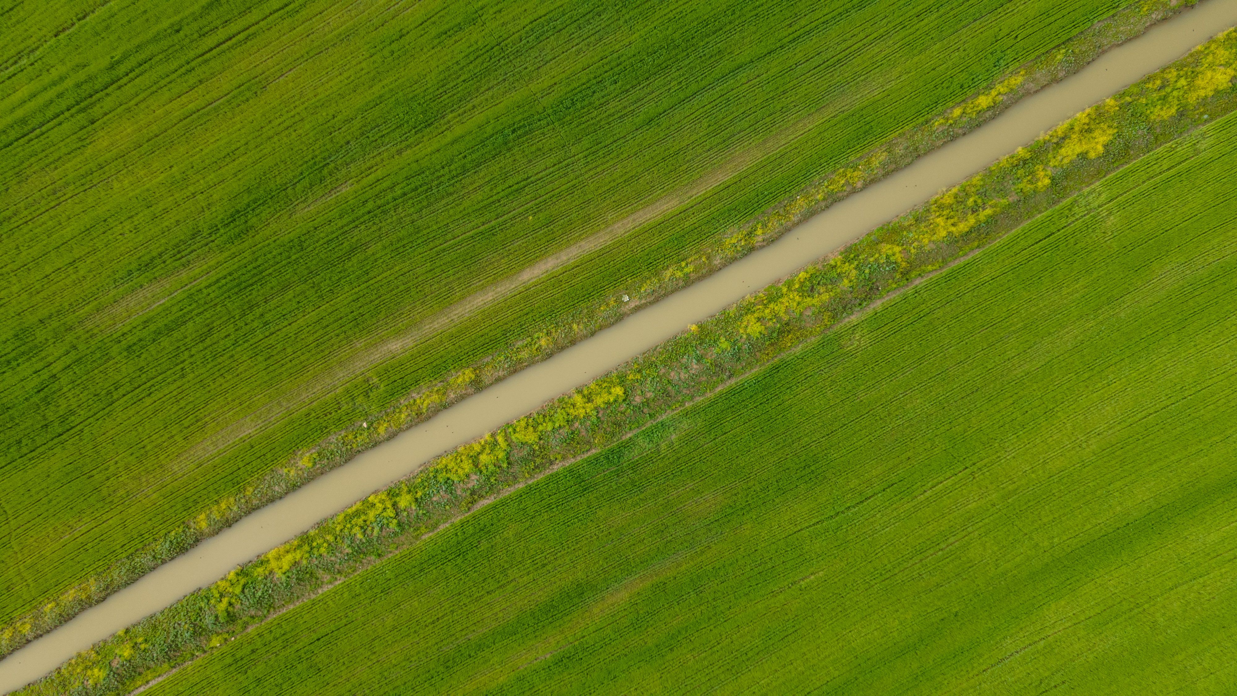 Aerial View of Green Fields in Bucak, Türkiye · Free Stock Photo