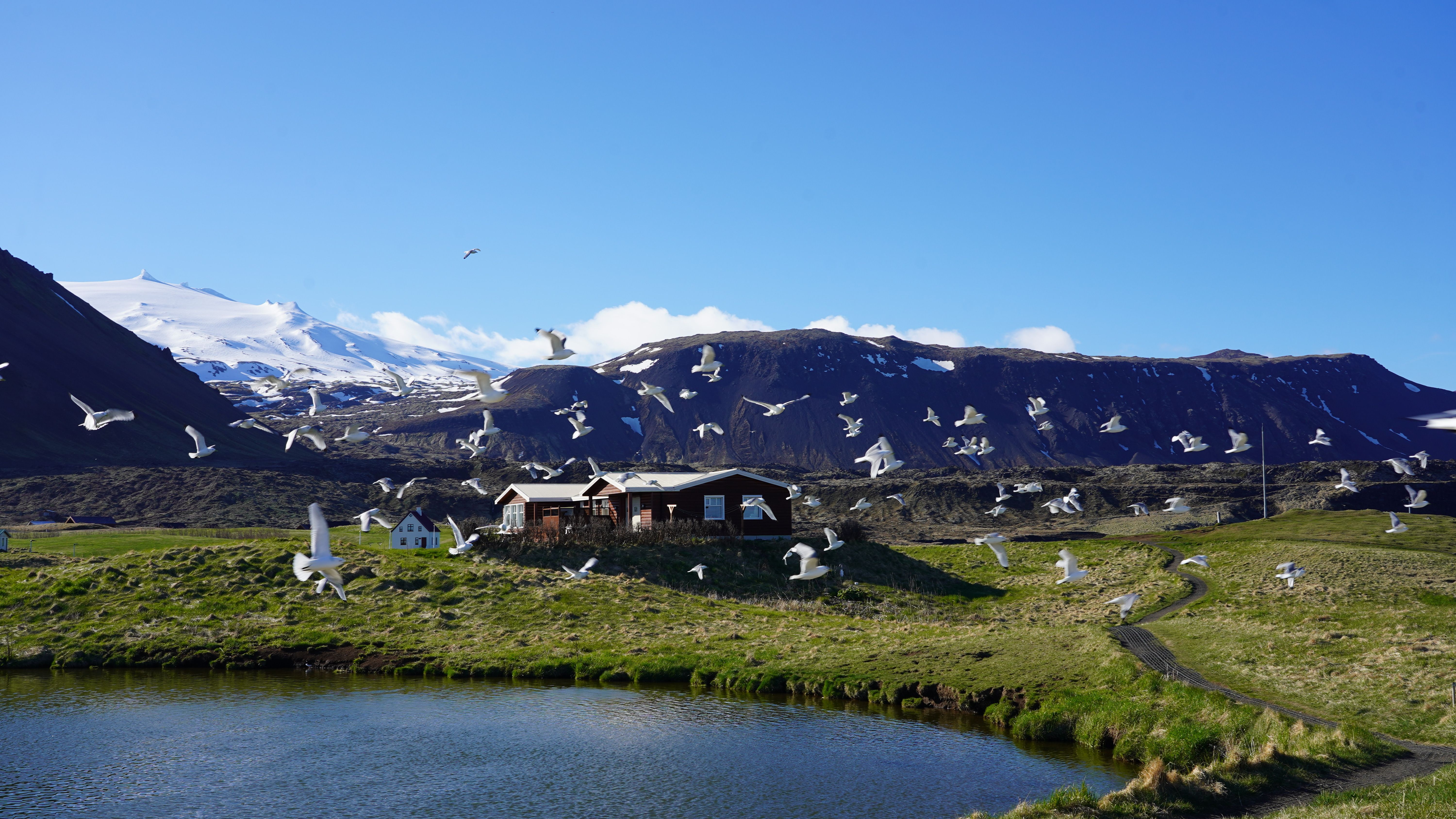 Scenic Mountain Cabin with Birds in Flight · Free Stock Photo