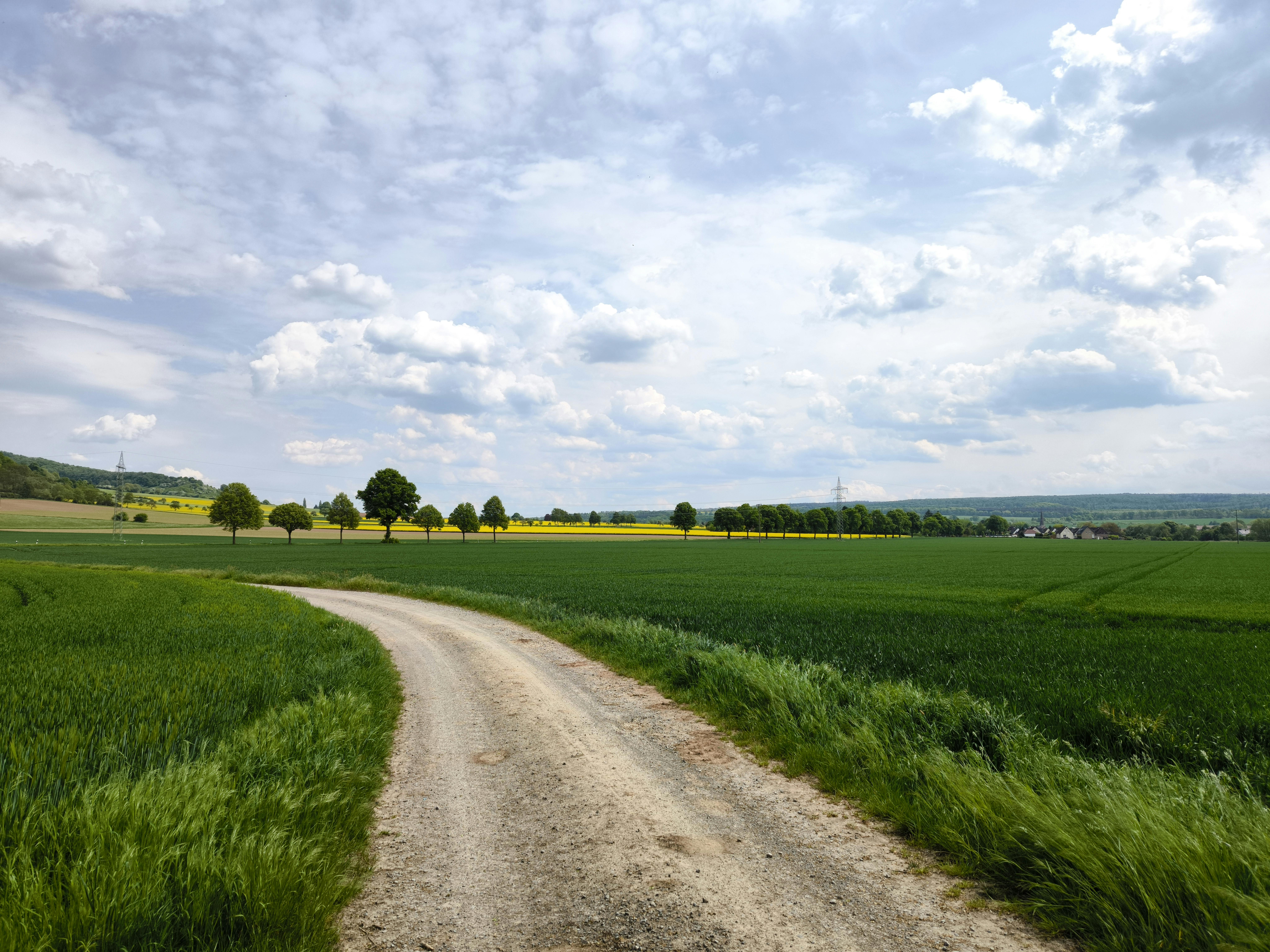 Scenic Rural Pathway Through Lush Green Fields · Free Stock Photo