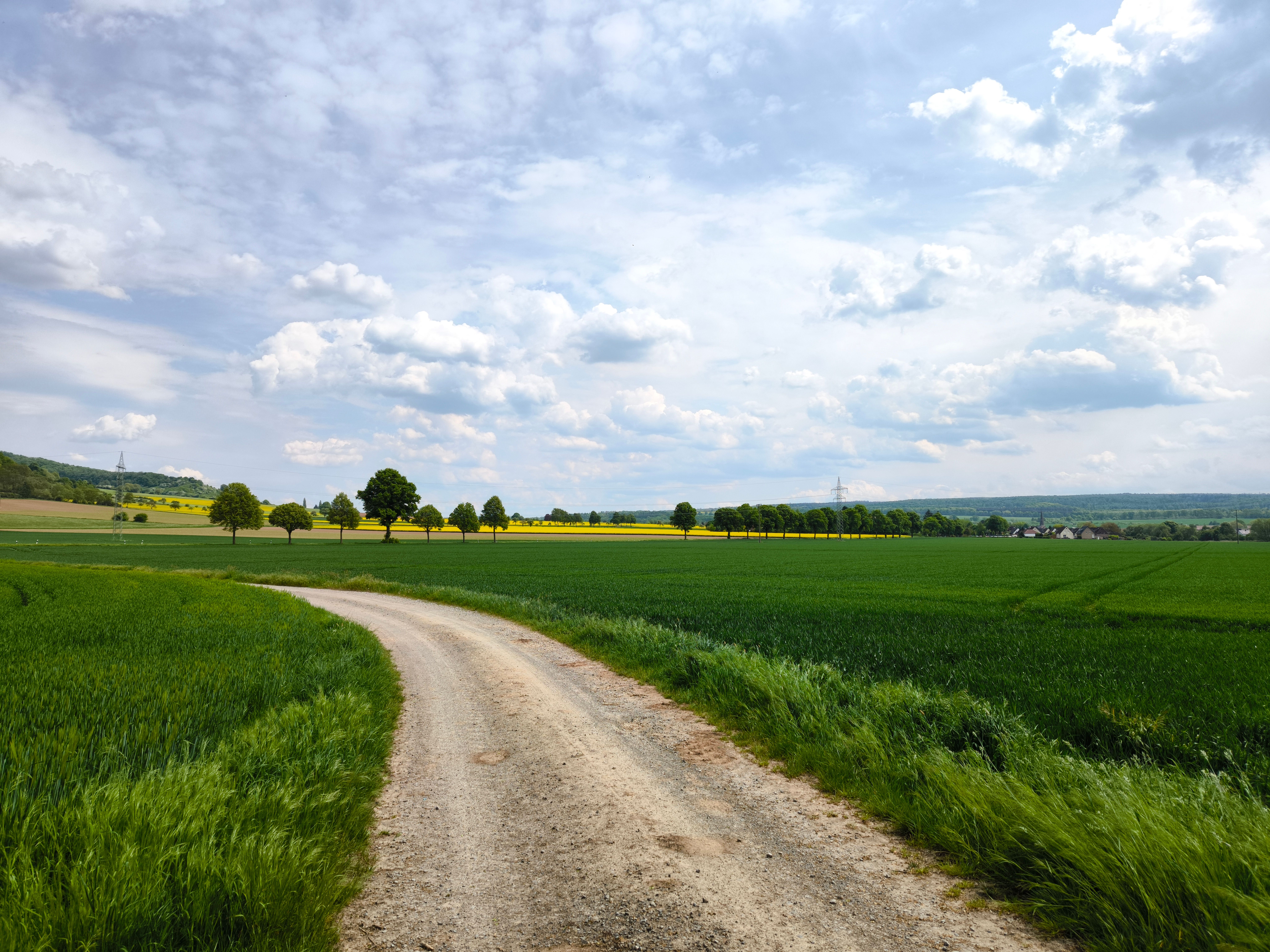 Sentier Rural Pittoresque à Travers Des Champs Verdoyants · Photo gratuite