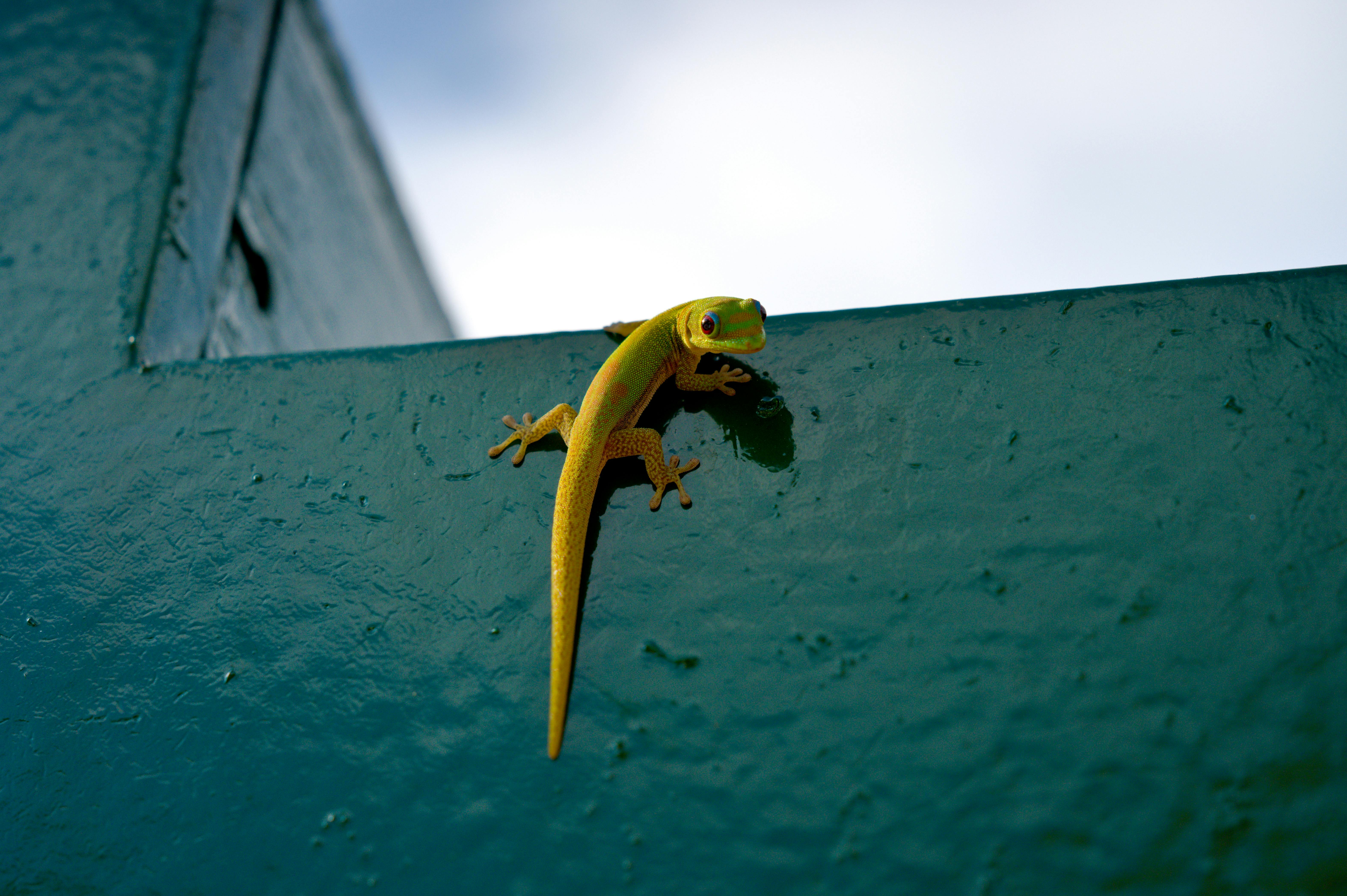 Navbar Background Photos, Download The BEST Free Navbar Background ...