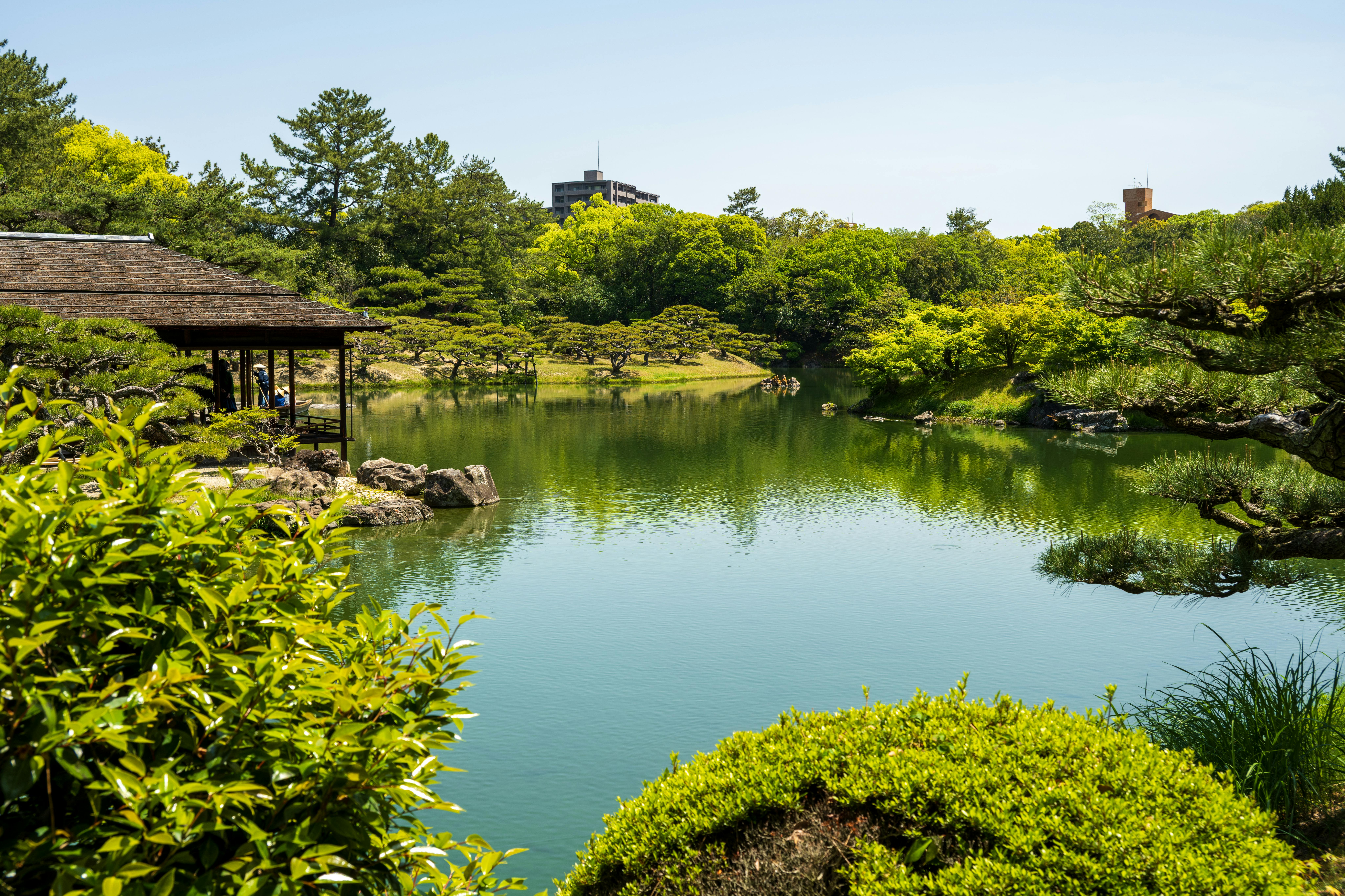 Serene Japanese Garden with Tranquil Pond · Free Stock Photo