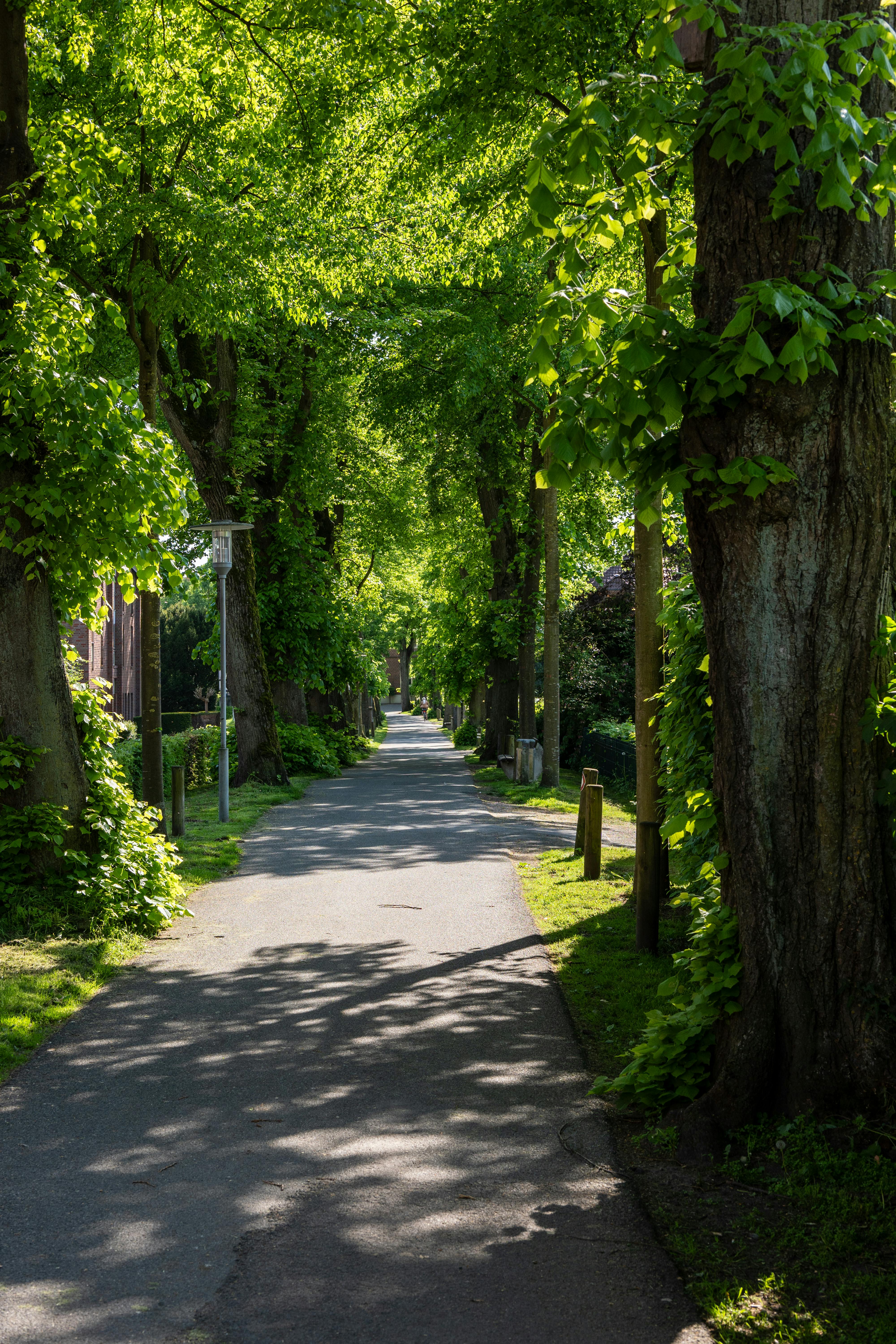 Setter Route Photos, Download The BEST Free Setter Route Stock Photos ...