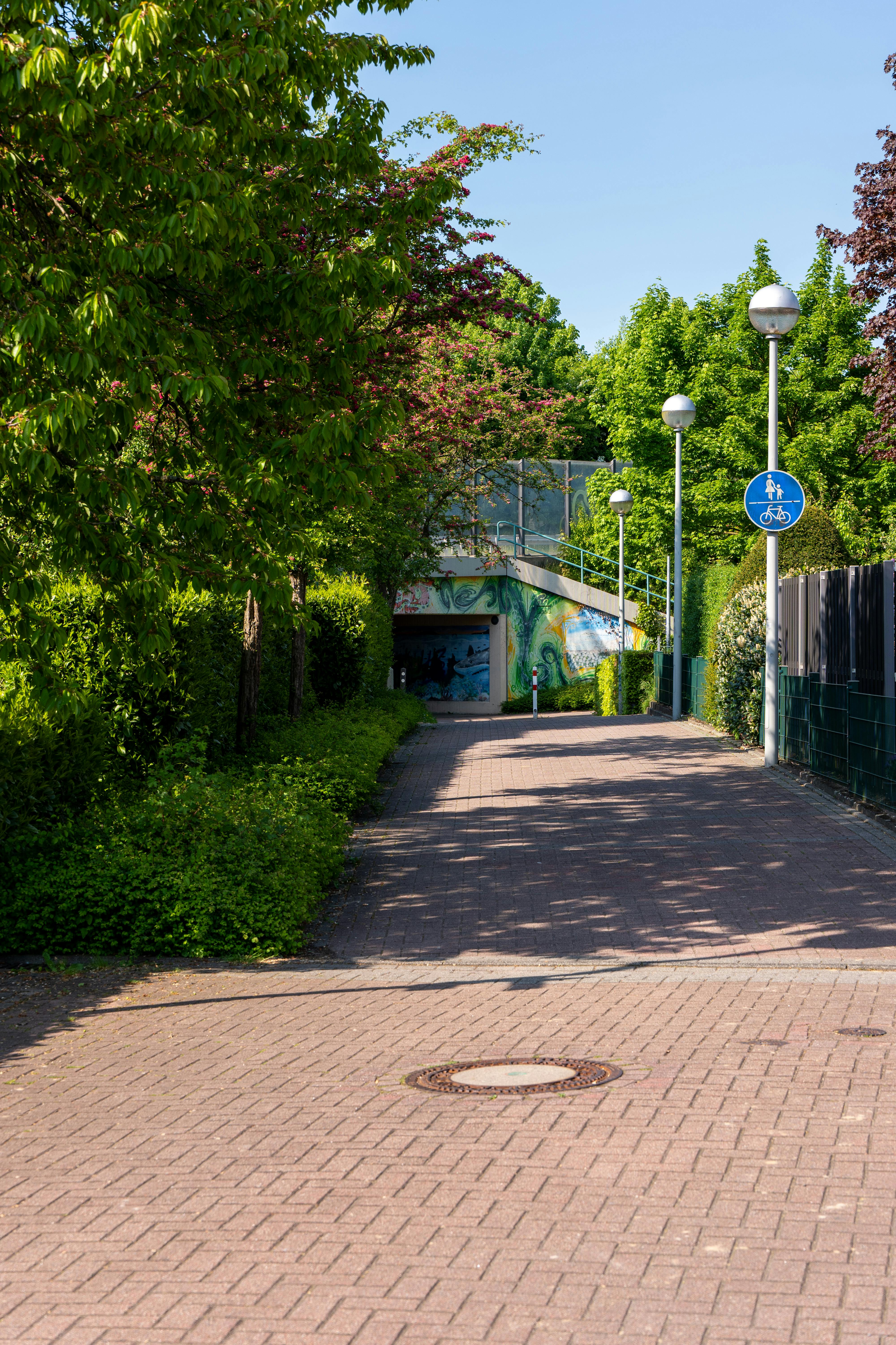 Sunny Walkway with Bicycle Lane Signage · Free Stock Photo