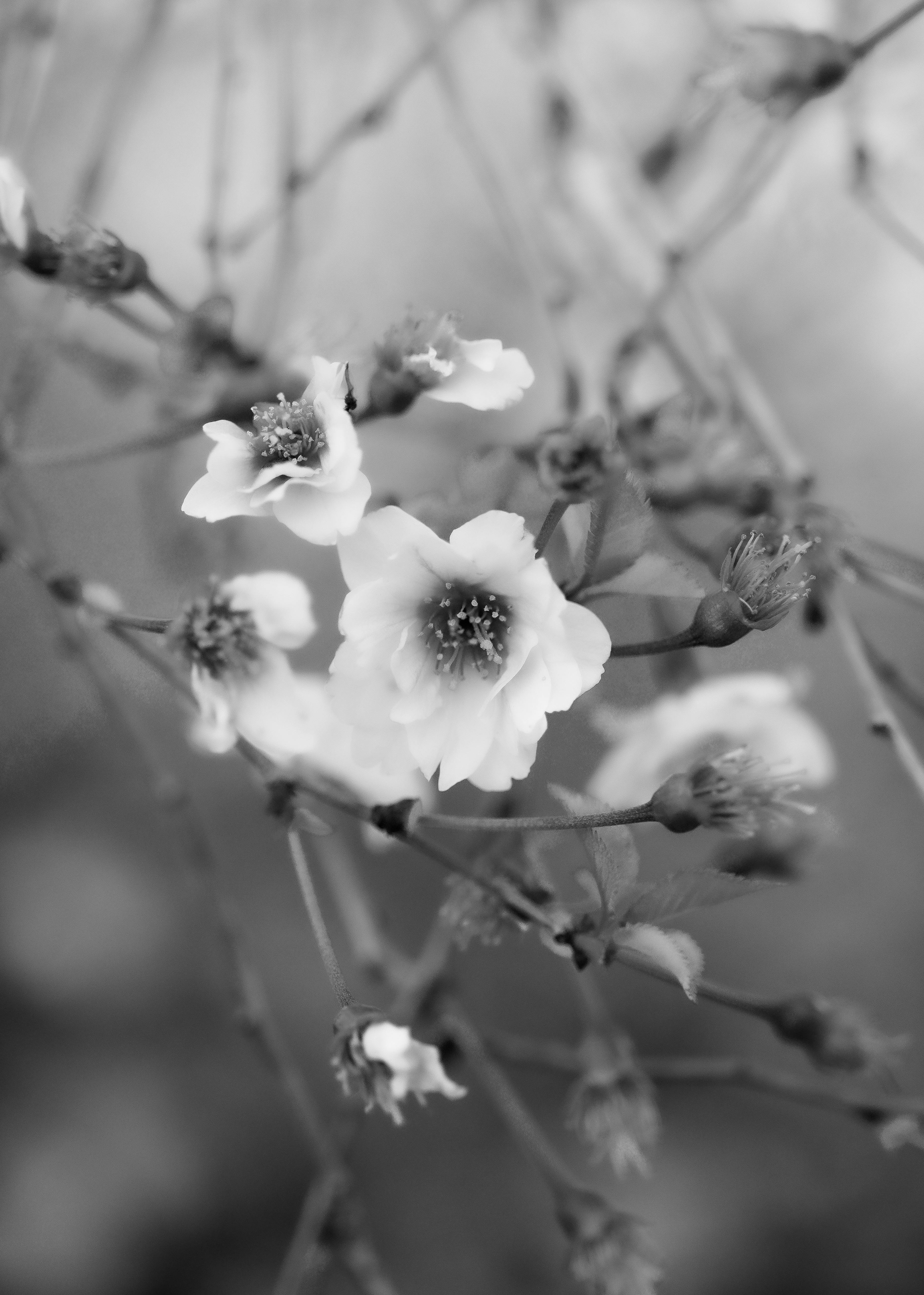 Navbar Background Photos, Download The BEST Free Navbar Background ...