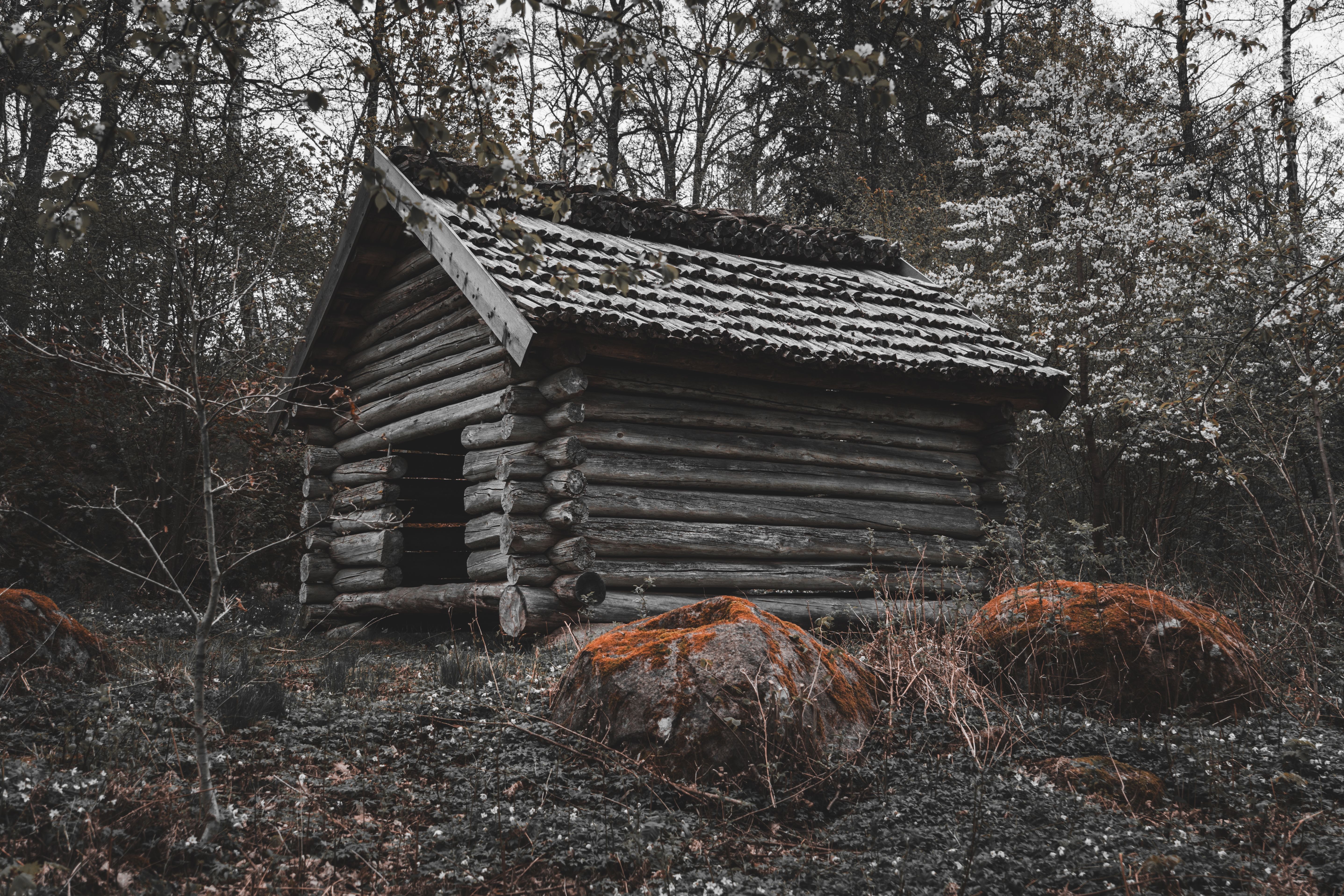 Brown Cabin in the Woods on Daytime · Free Stock Photo