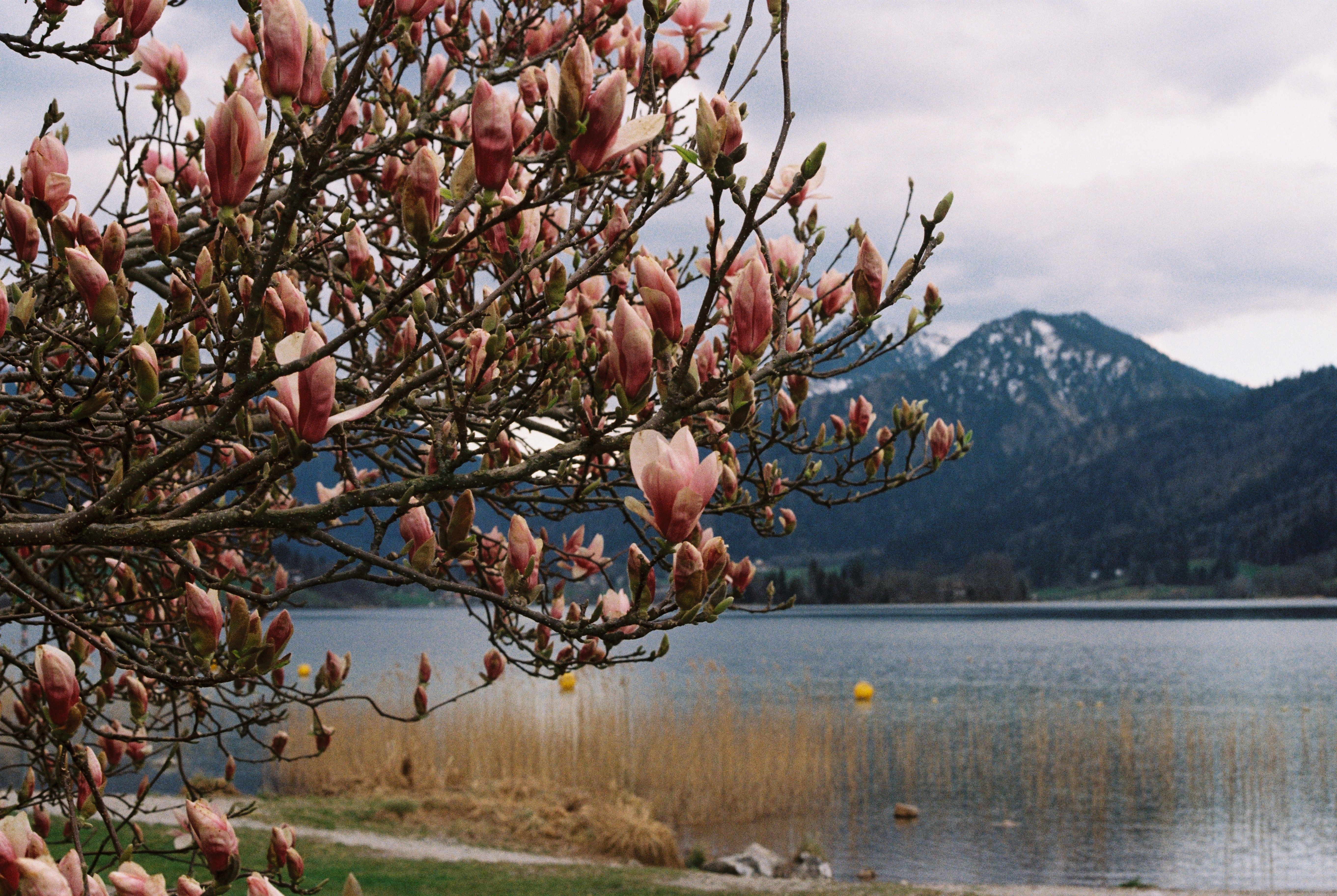 Springtime Photos, Download The BEST Free Springtime Stock Photos & HD ...