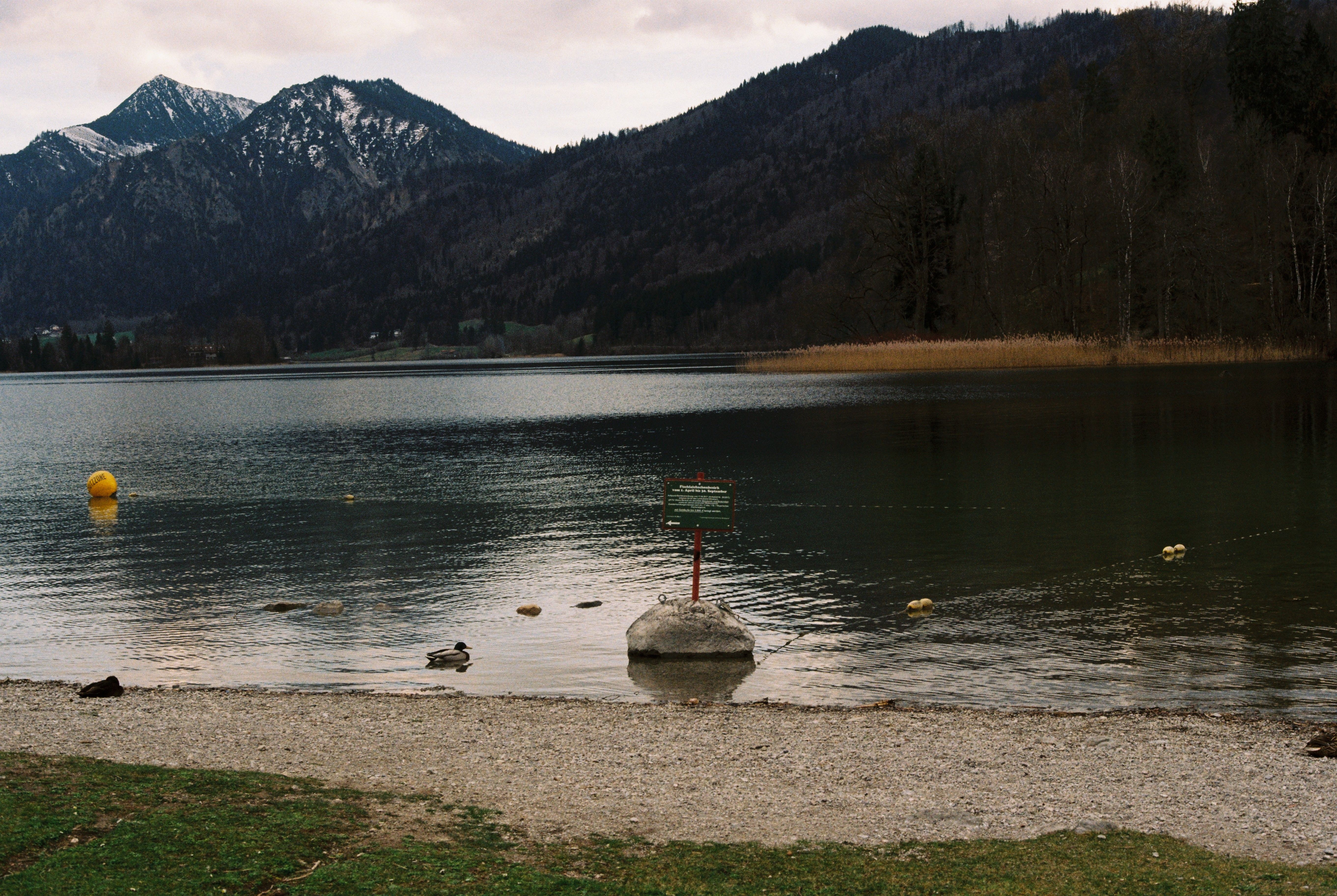 Scenic Lake View in Bavarian Alps during Spring · Free Stock Photo