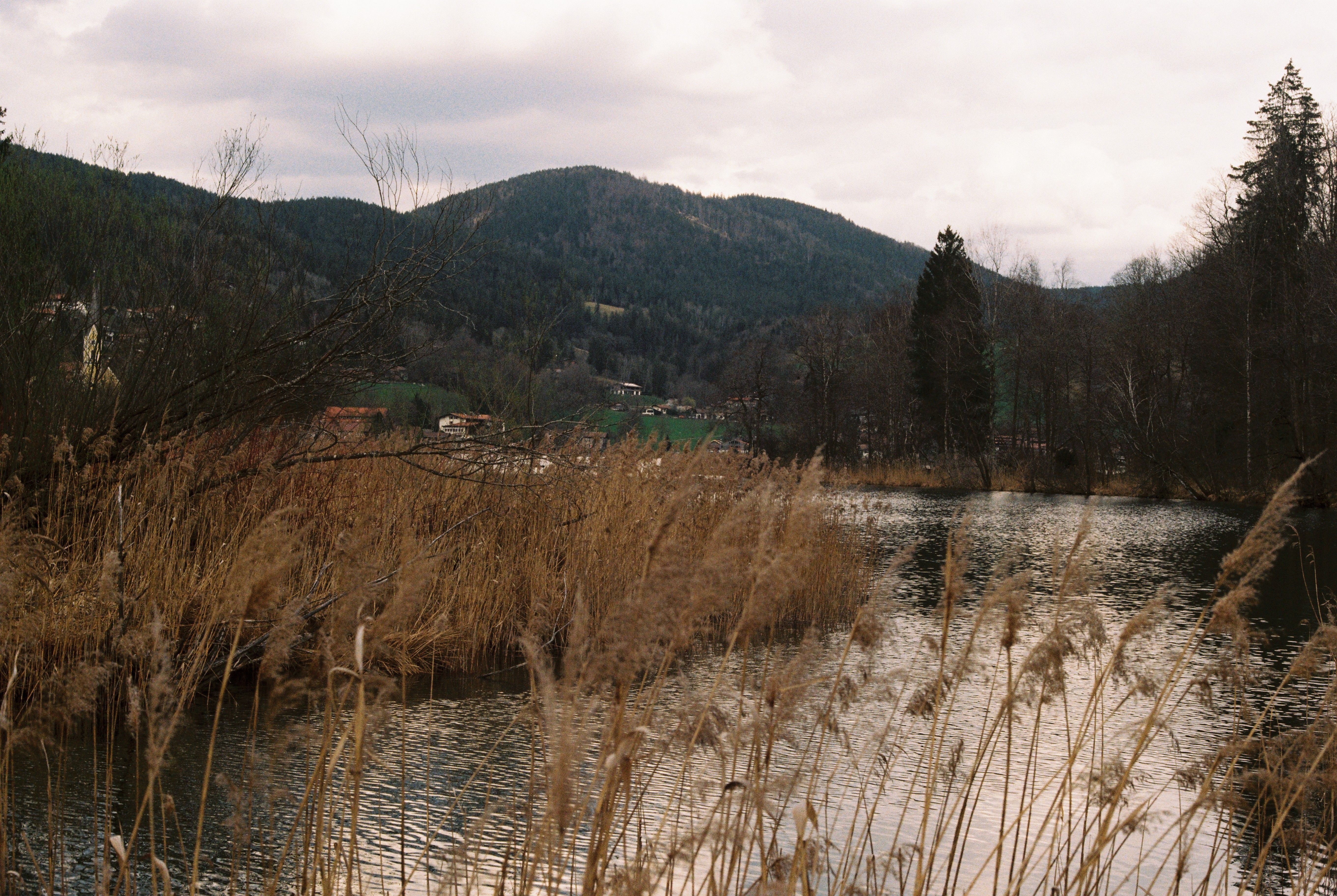 Peaceful Lake Scene in Bavaria During Fall · Free Stock Photo