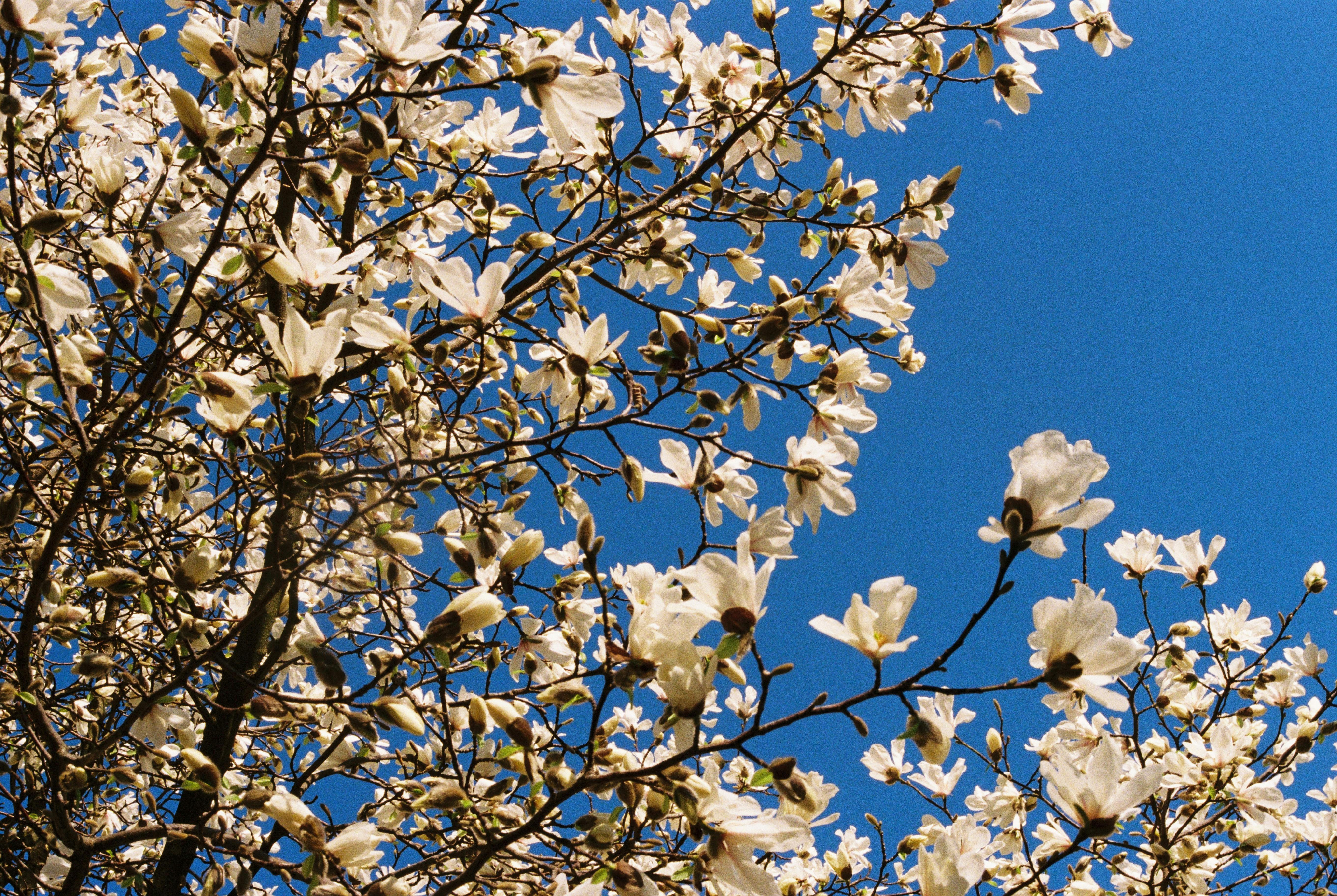 Dil Ka Photo Photos, Download The BEST Free Dil Ka Photo Stock Photos ...