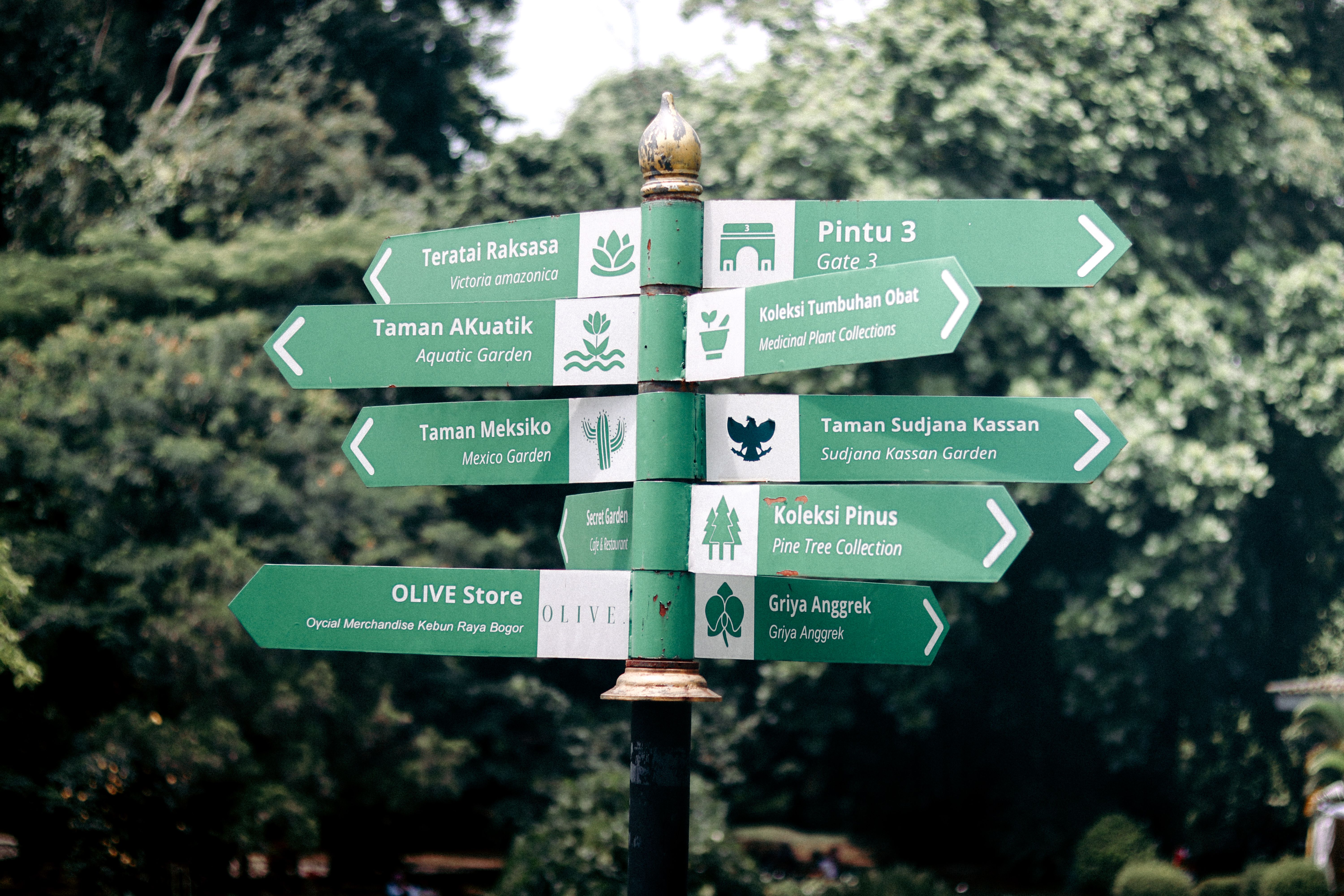 Directional Sign in Botanical Garden, Indonesia · Free Stock Photo