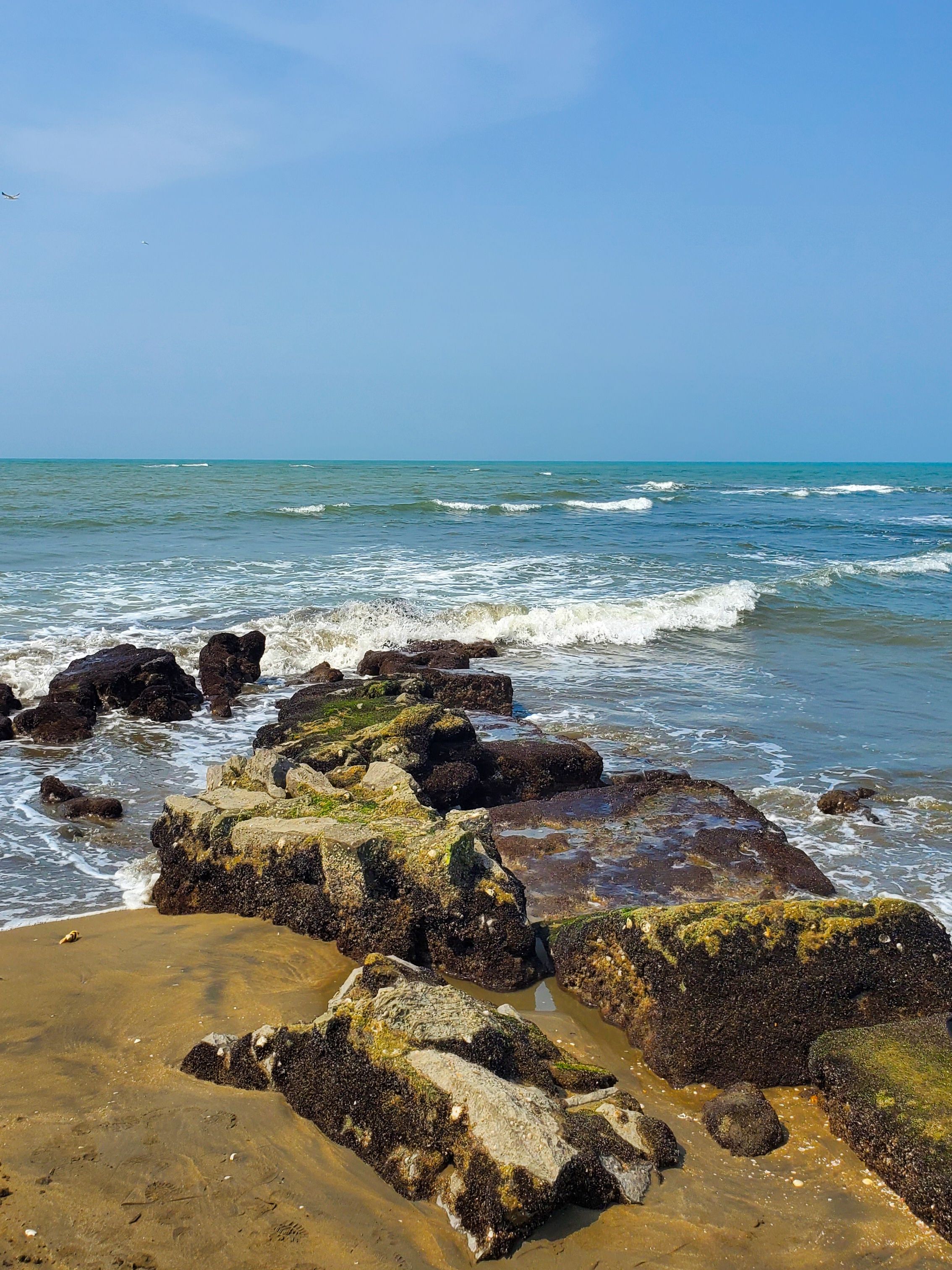 Scenic Shoreline View of Al Hudaydah, Yemen · Free Stock Photo