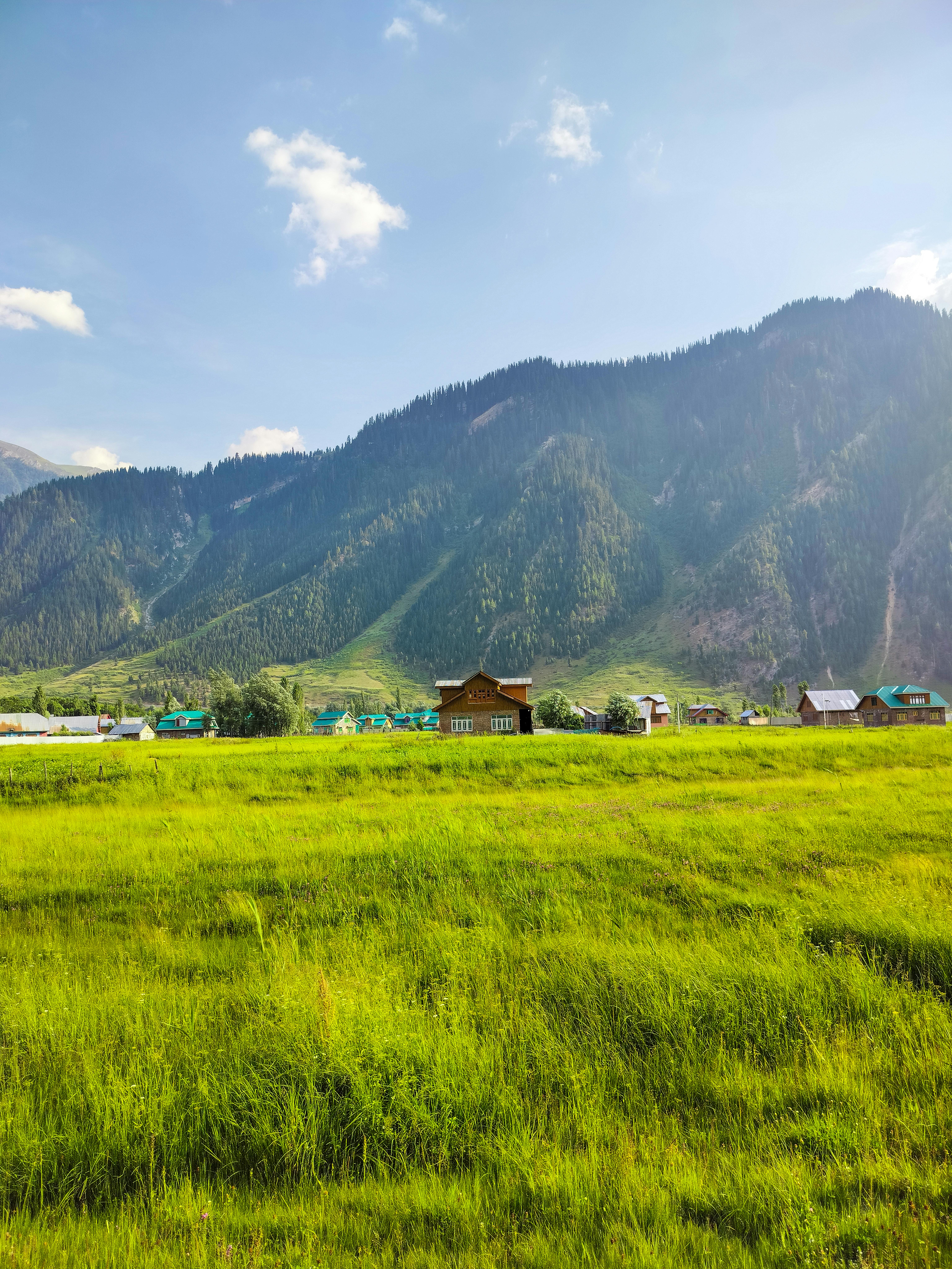 Scenic Mountain View in Forest Block · Free Stock Photo
