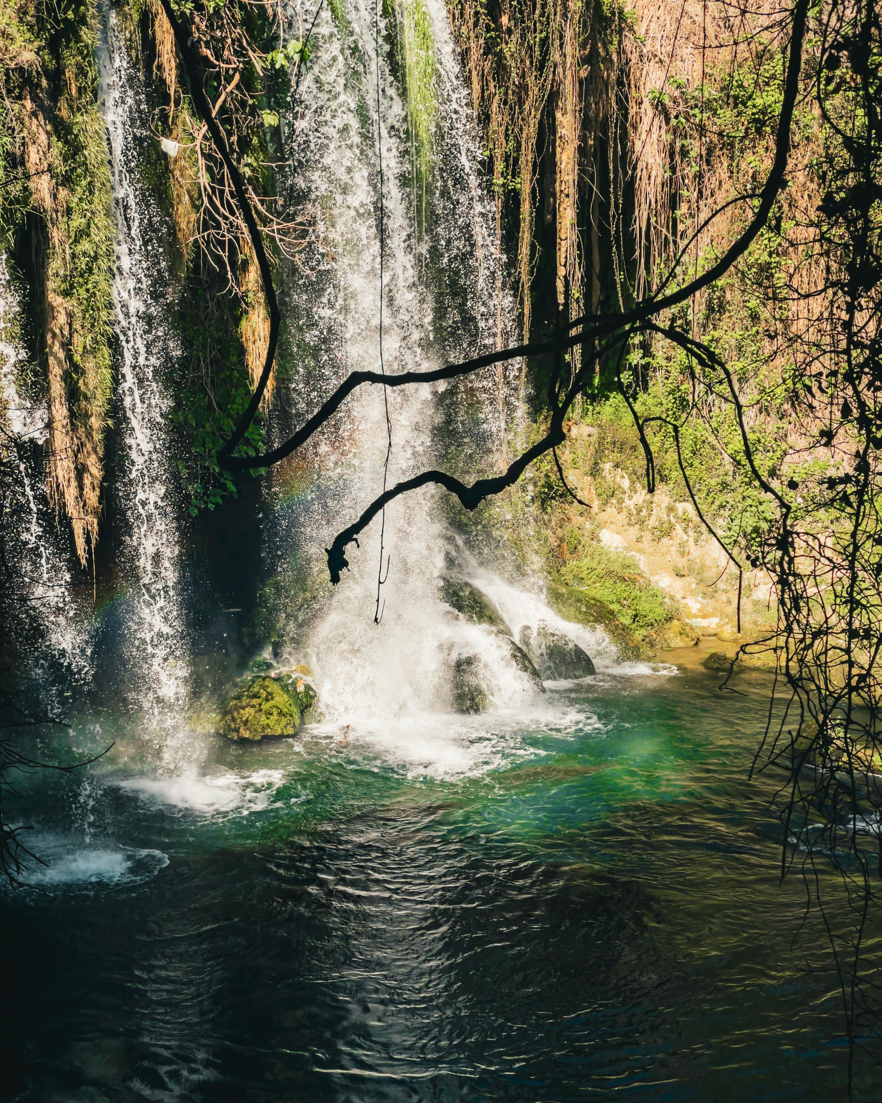 Repo Background Photos, Download The BEST Free Repo Background Stock ...