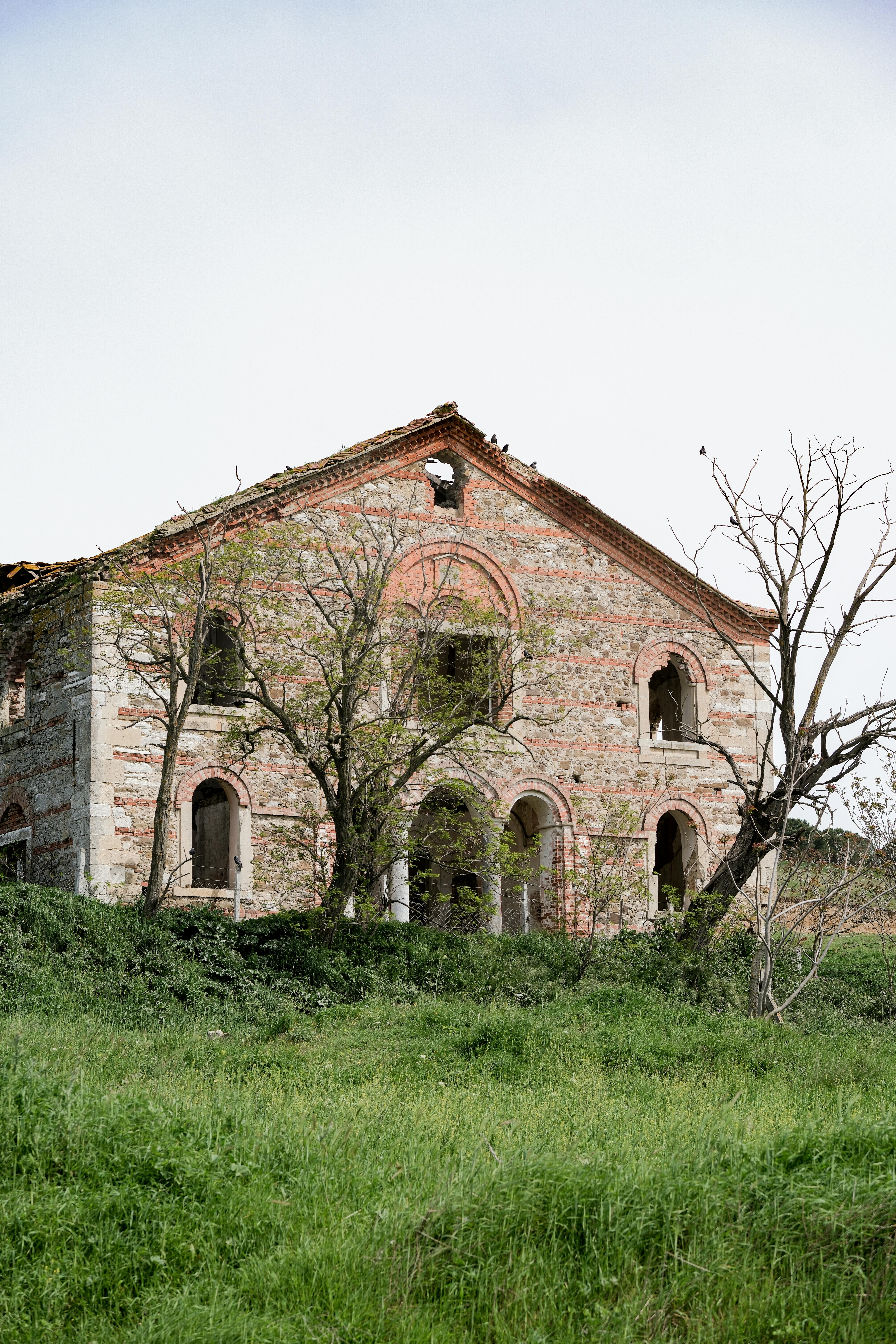 Ali Akdemir - 写真