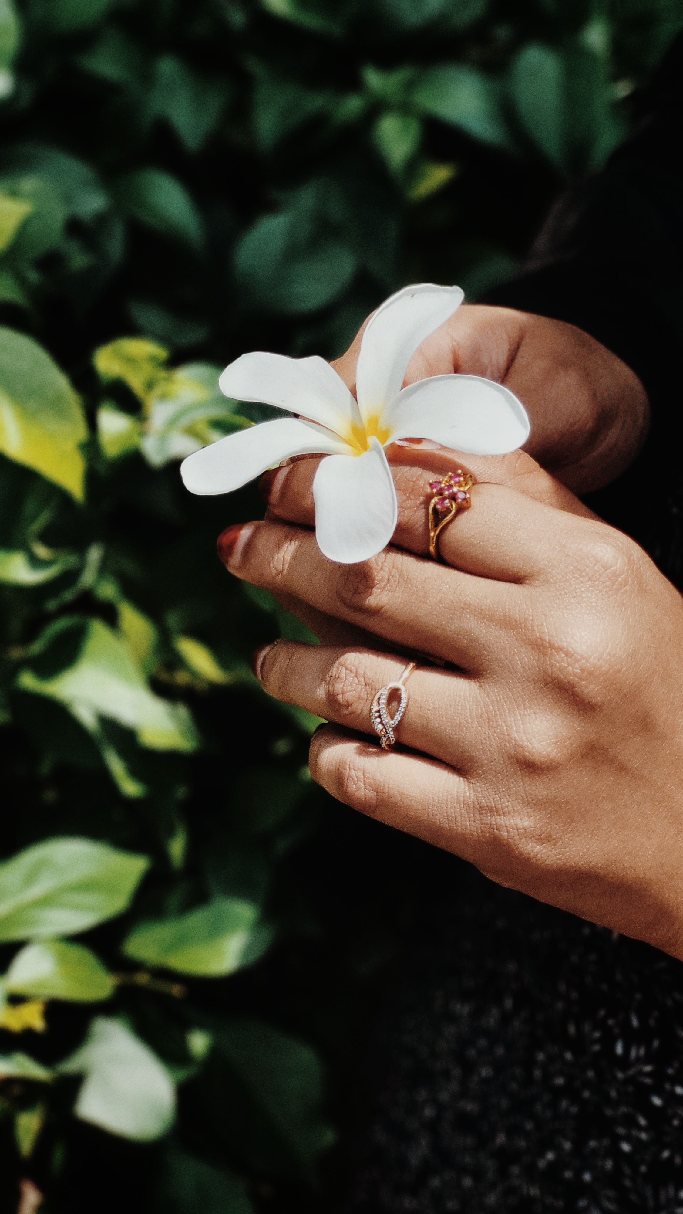 Delicate Flower Ring on Hand with Sunlight · Free Stock Photo