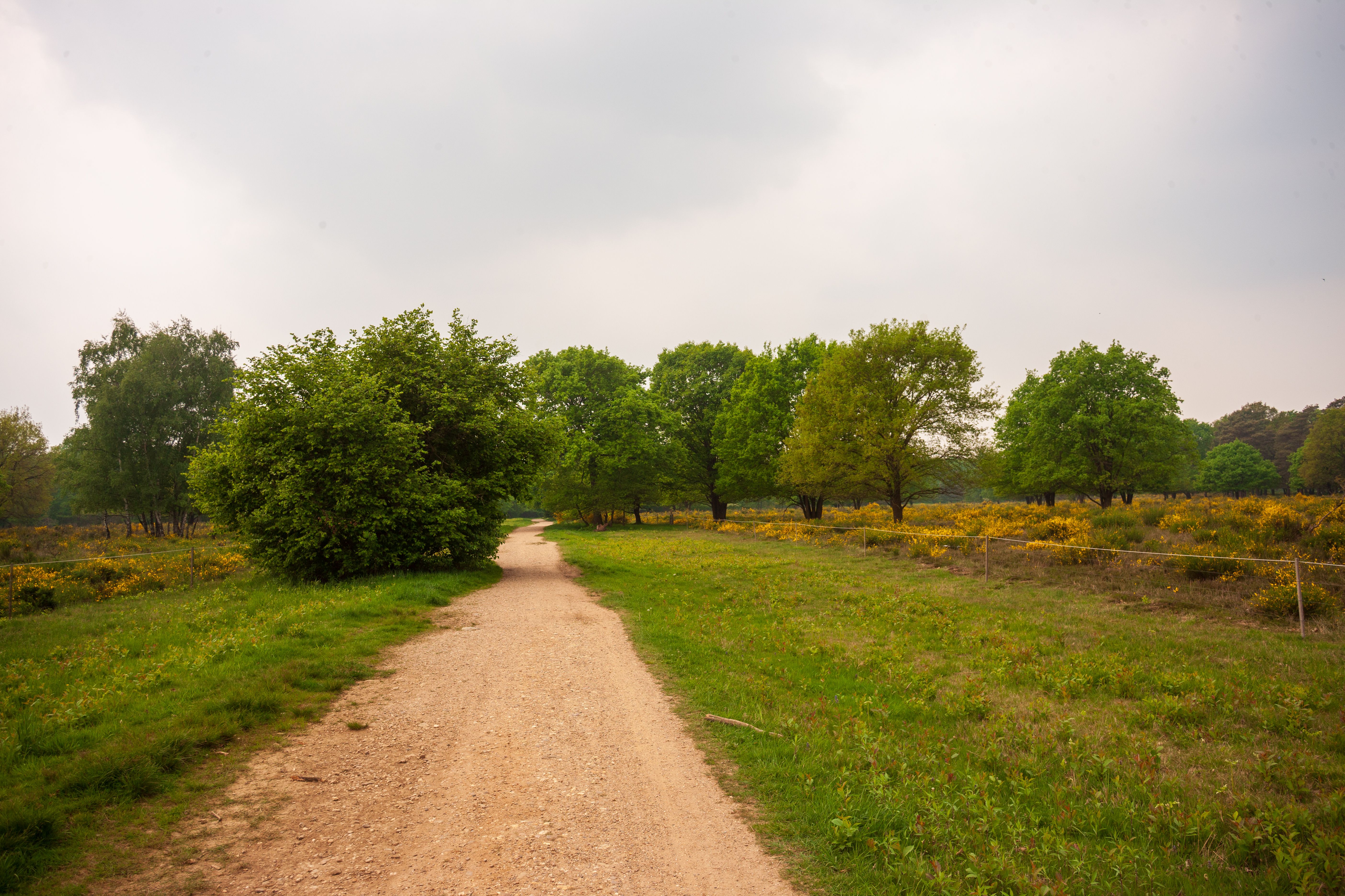 Sendero Escénico En Un Paisaje Verde De Primavera · Foto de stock gratuita