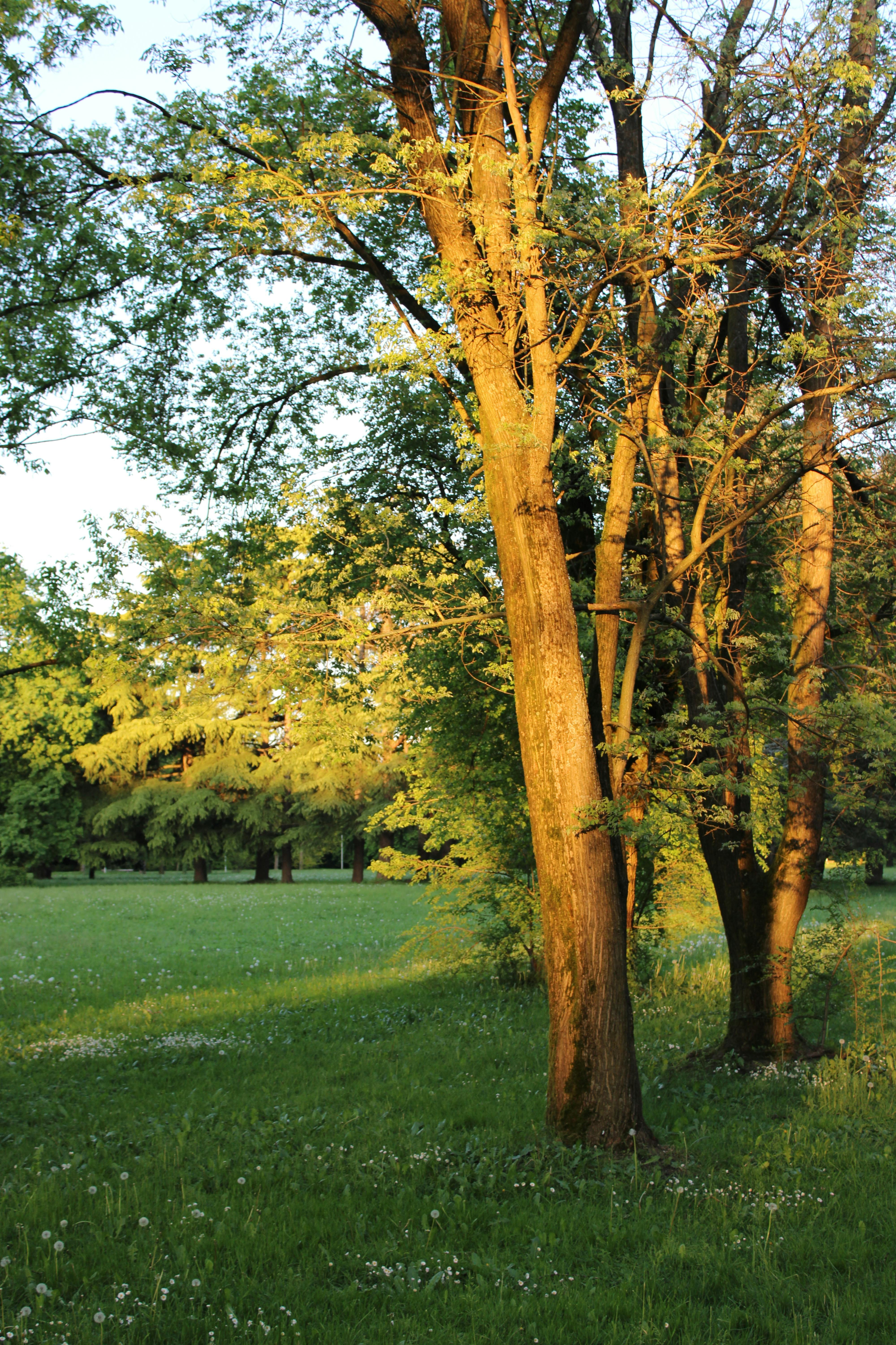 Environment 4k Photos, Download The BEST Free Environment 4k Stock ...