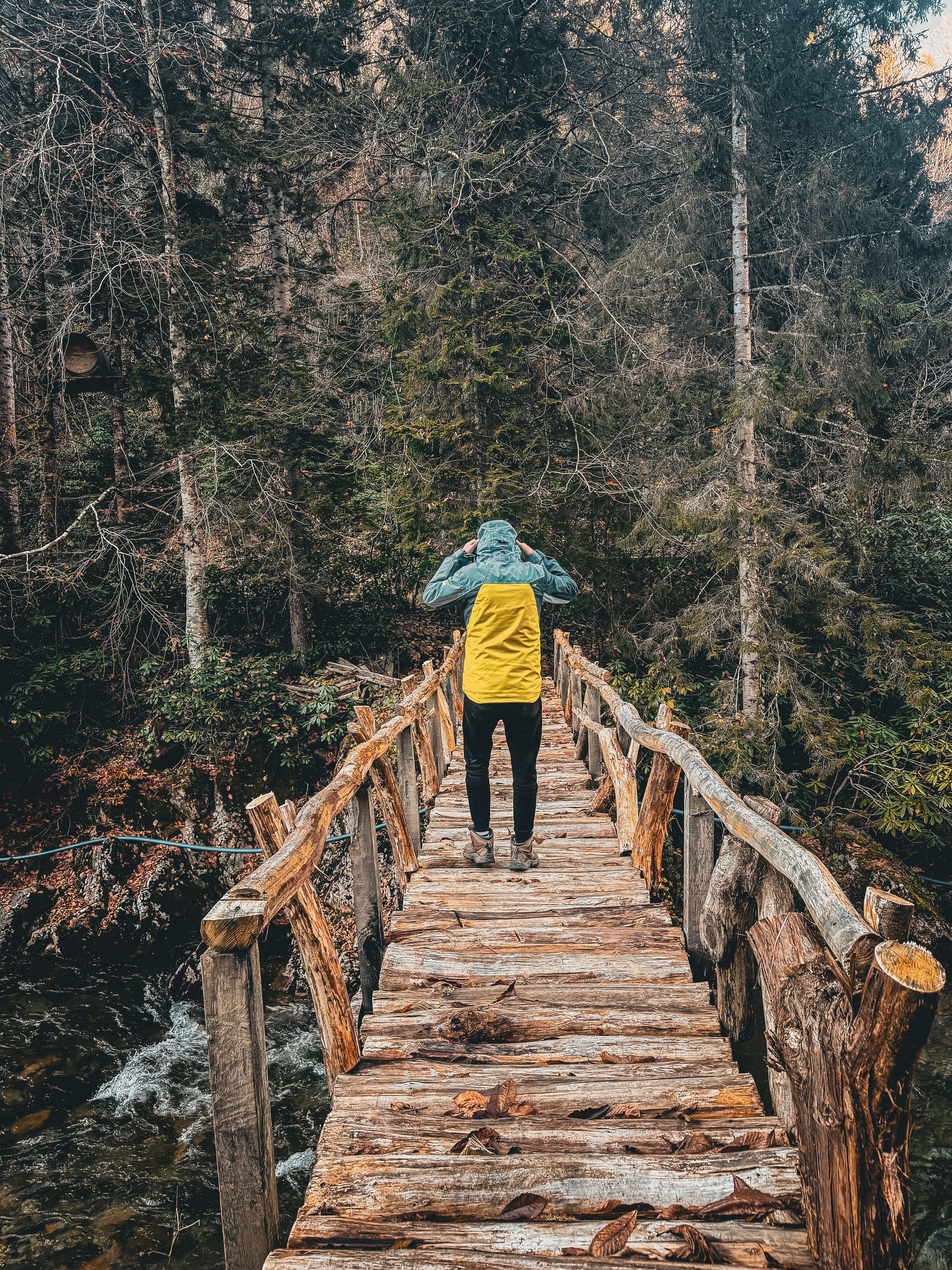 Person on Rustic Wooden Bridge in Forest · Free Stock Photo