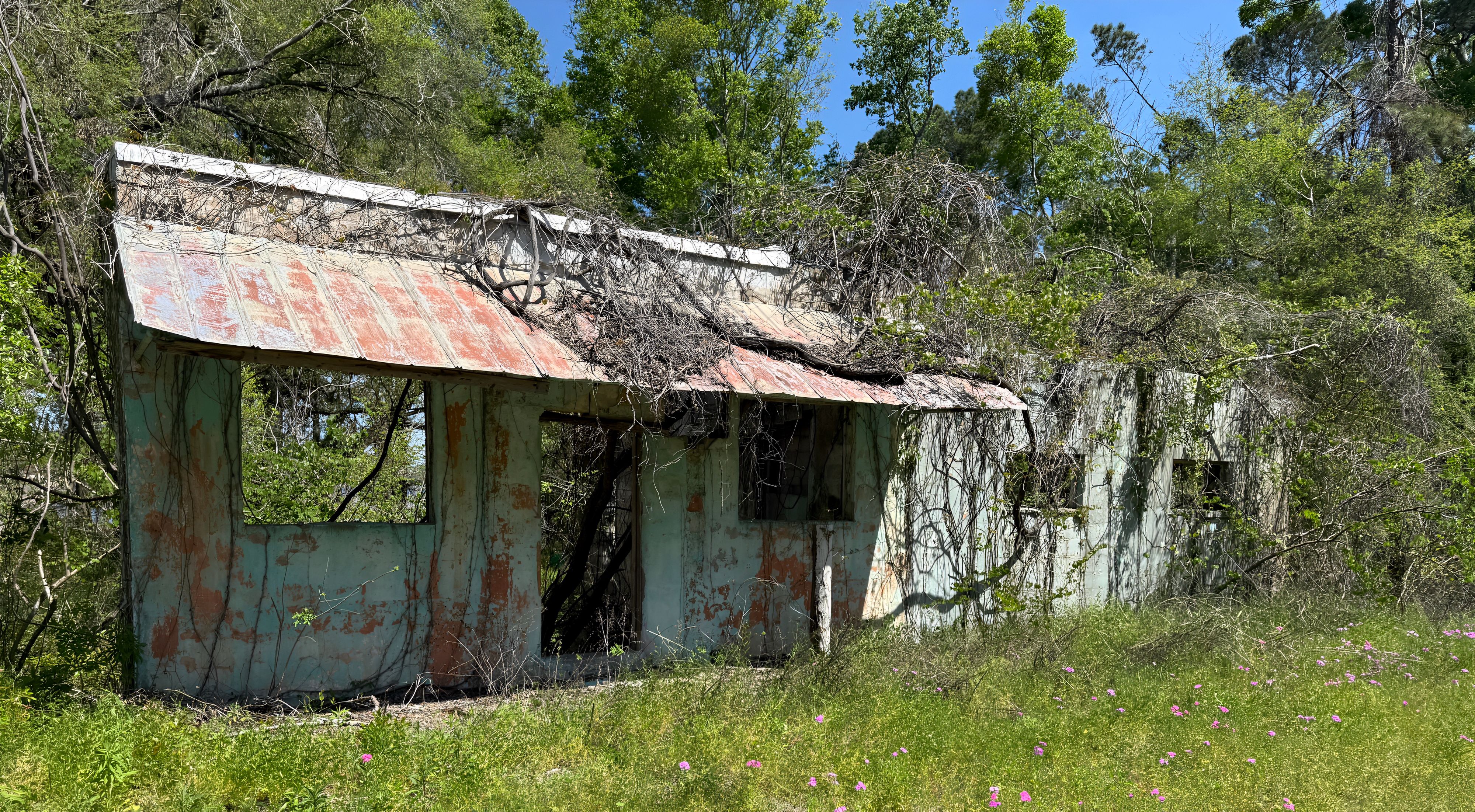 Overgrown Abandoned Building in Florida · Free Stock Photo